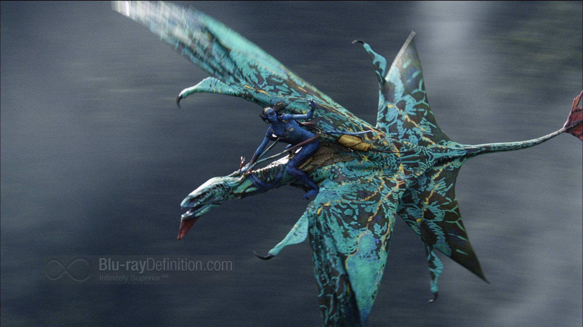 Ikran Wallpapers - Wallpaper Cave