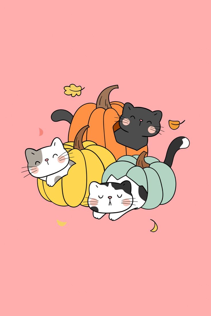 Cute Cat Autumn Wallpapers - Wallpaper Cave