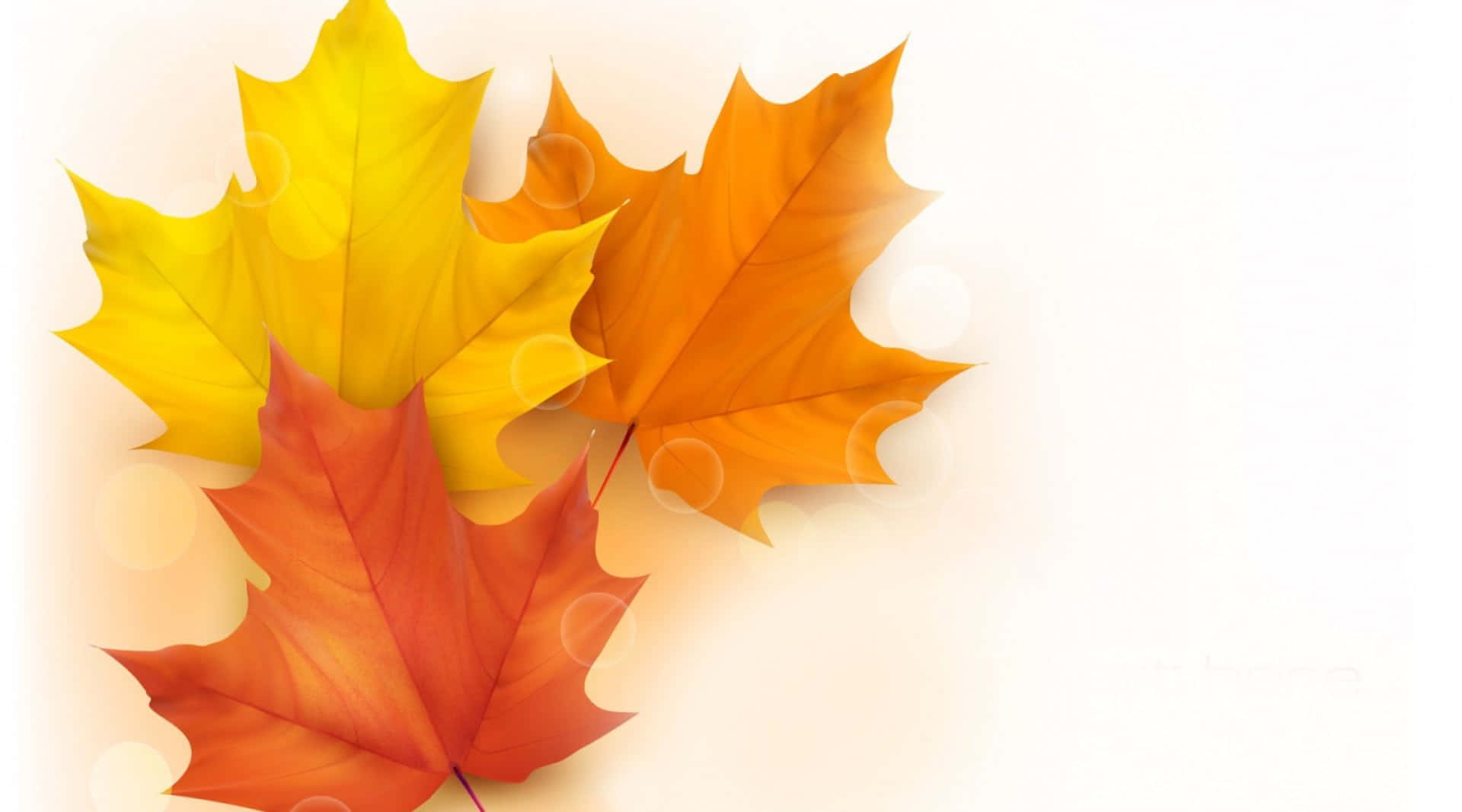 Autumn Leaves Simple Wallpapers - Wallpaper Cave