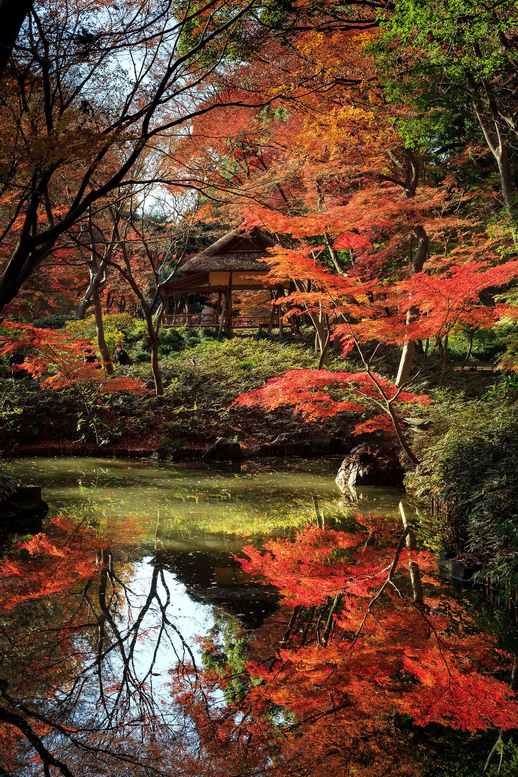 Autumn Japan Vertical Wallpapers - Wallpaper Cave