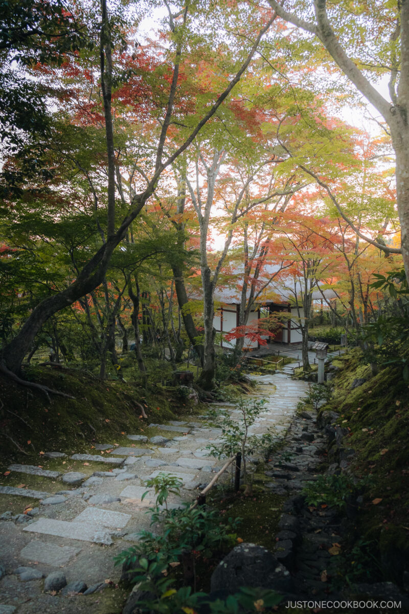 Autumn Japan Vertical Wallpapers - Wallpaper Cave