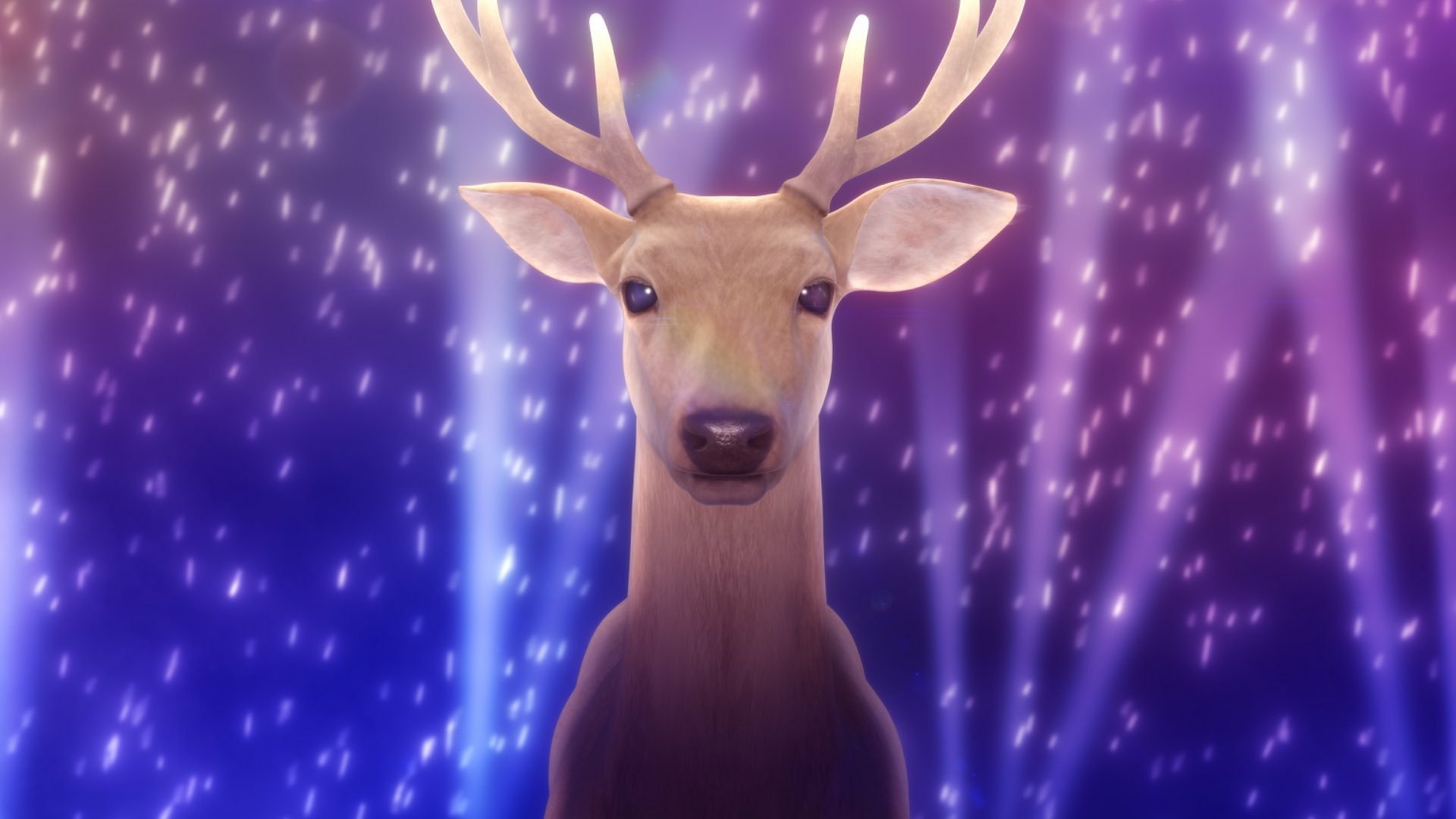 My Deer Friend Nokotan Wallpapers - Wallpaper Cave
