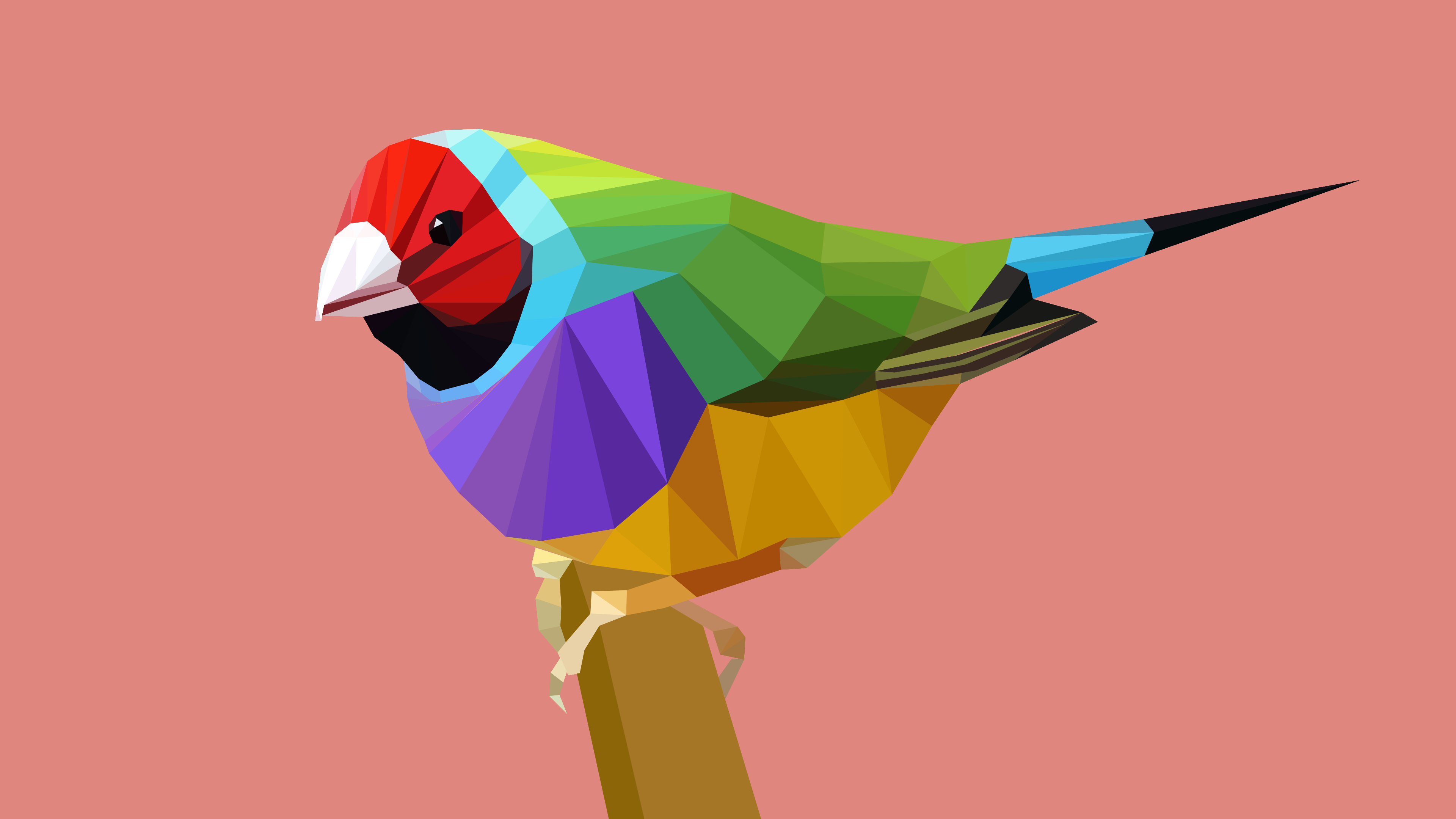 Gouldian Finch Wallpapers - Wallpaper Cave