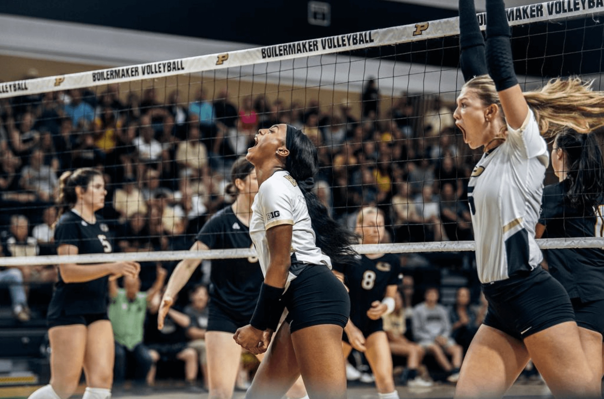 Purdue Volleyball Wallpapers - Wallpaper Cave
