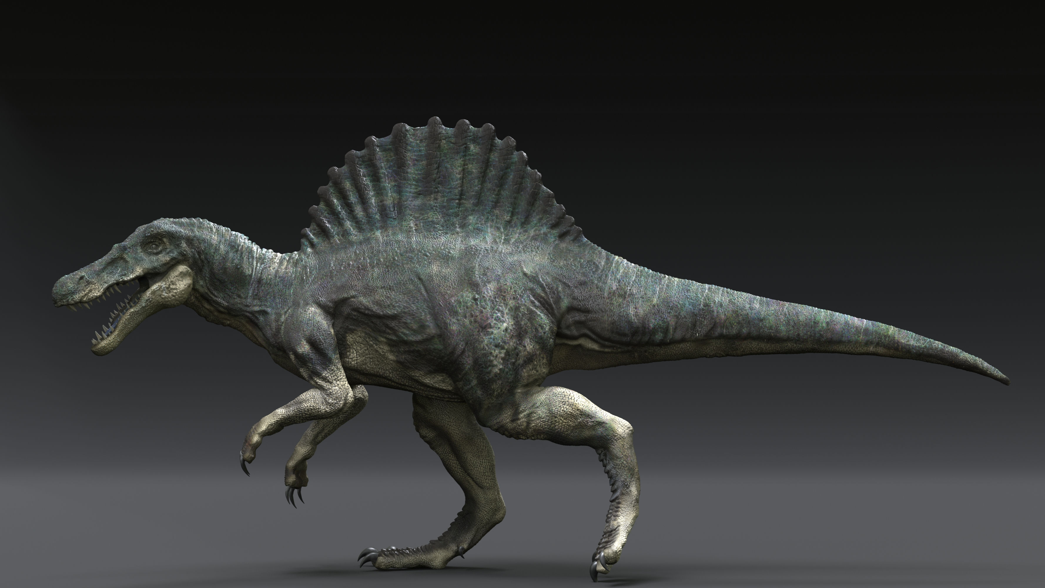 Imagen Spinosaurus Fondo De Pantallajpg