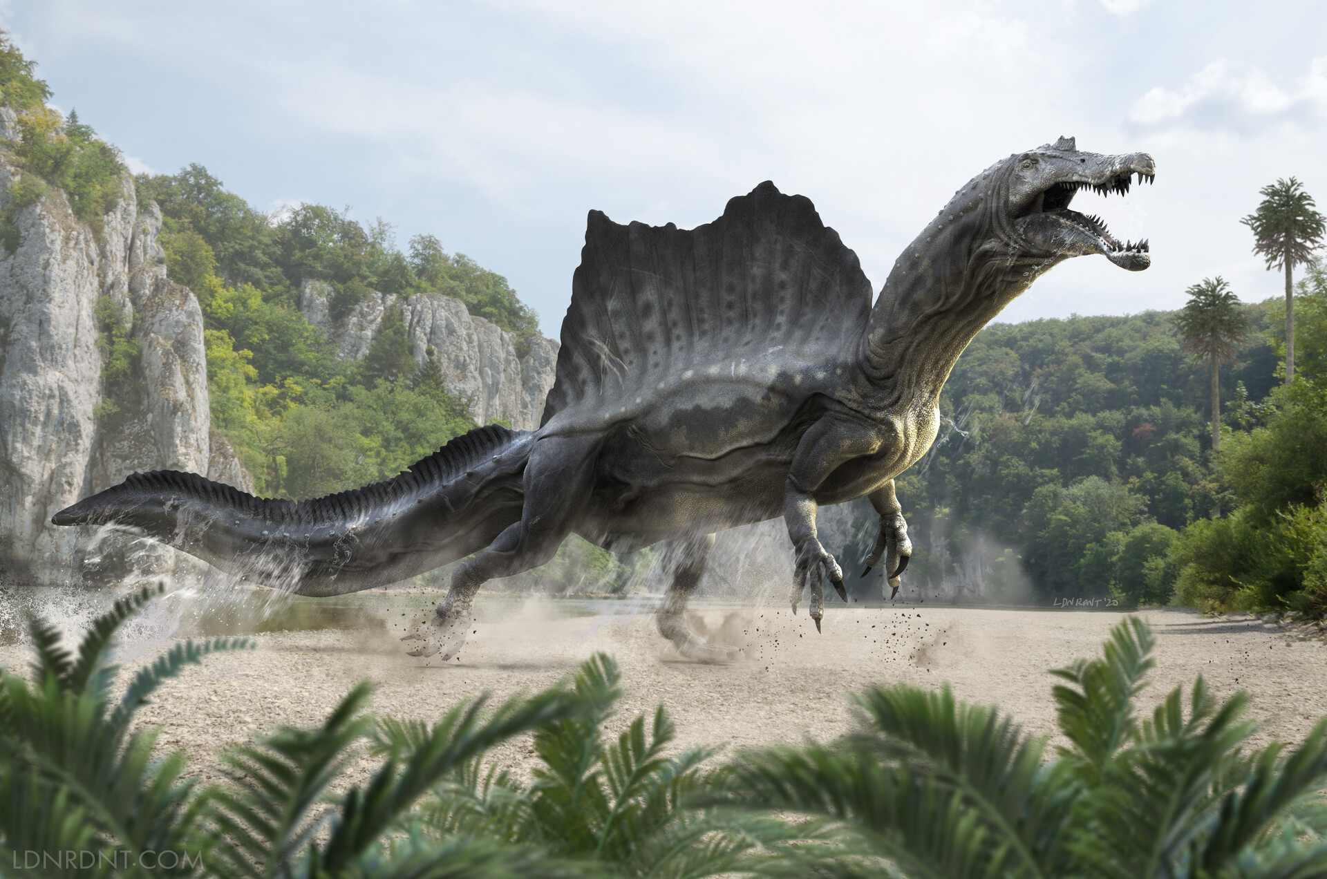 Spinosaurus Wallpapers - Wallpaper Cave
