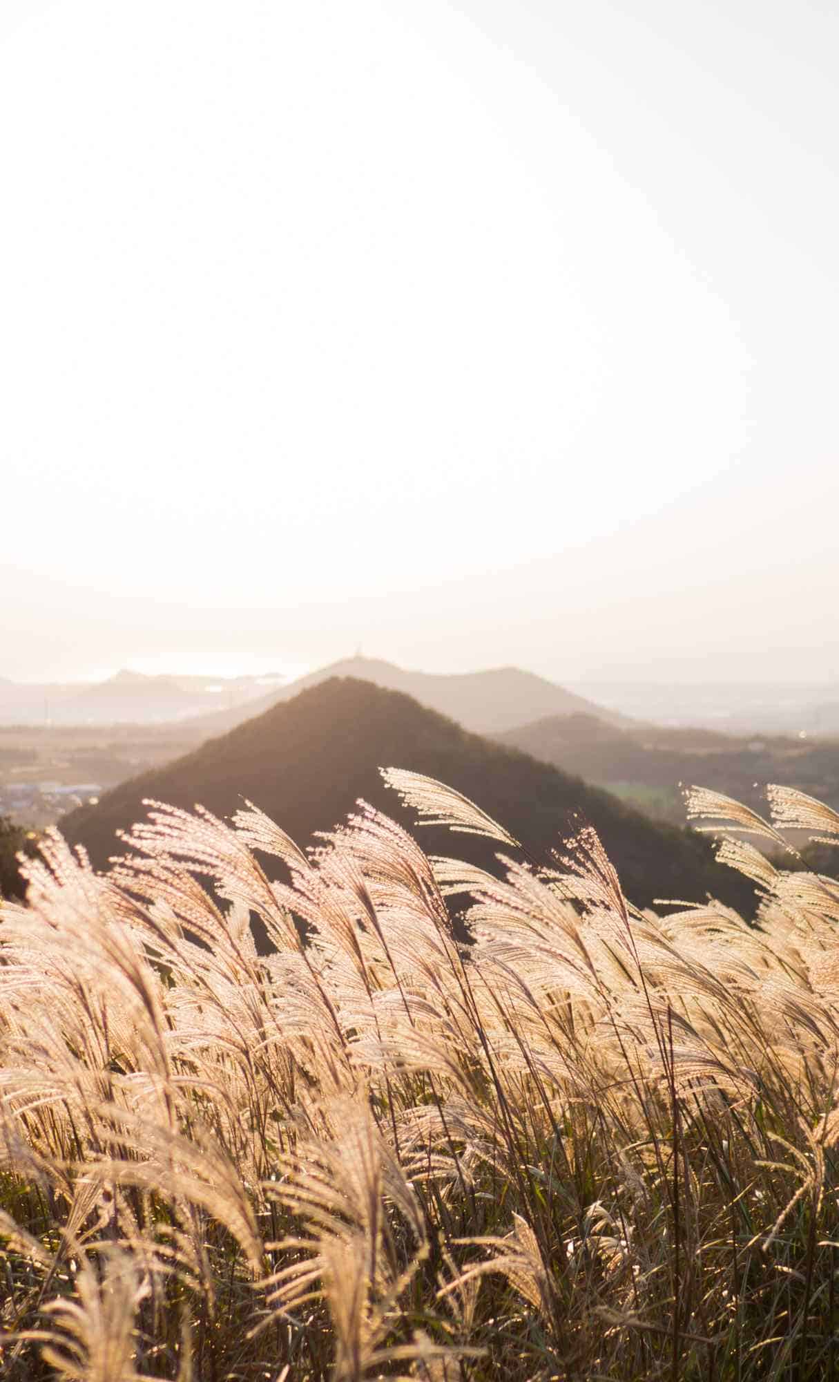 Outdoor iPhone Wallpapers - Wallpaper Cave