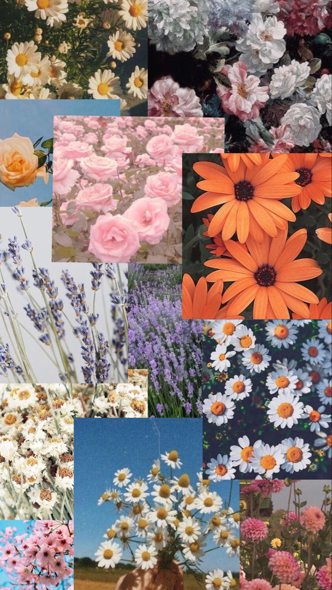 Flowers Collage Wallpapers - Wallpaper Cave