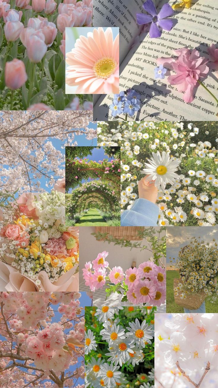 Flowers Collage Wallpapers - Wallpaper Cave