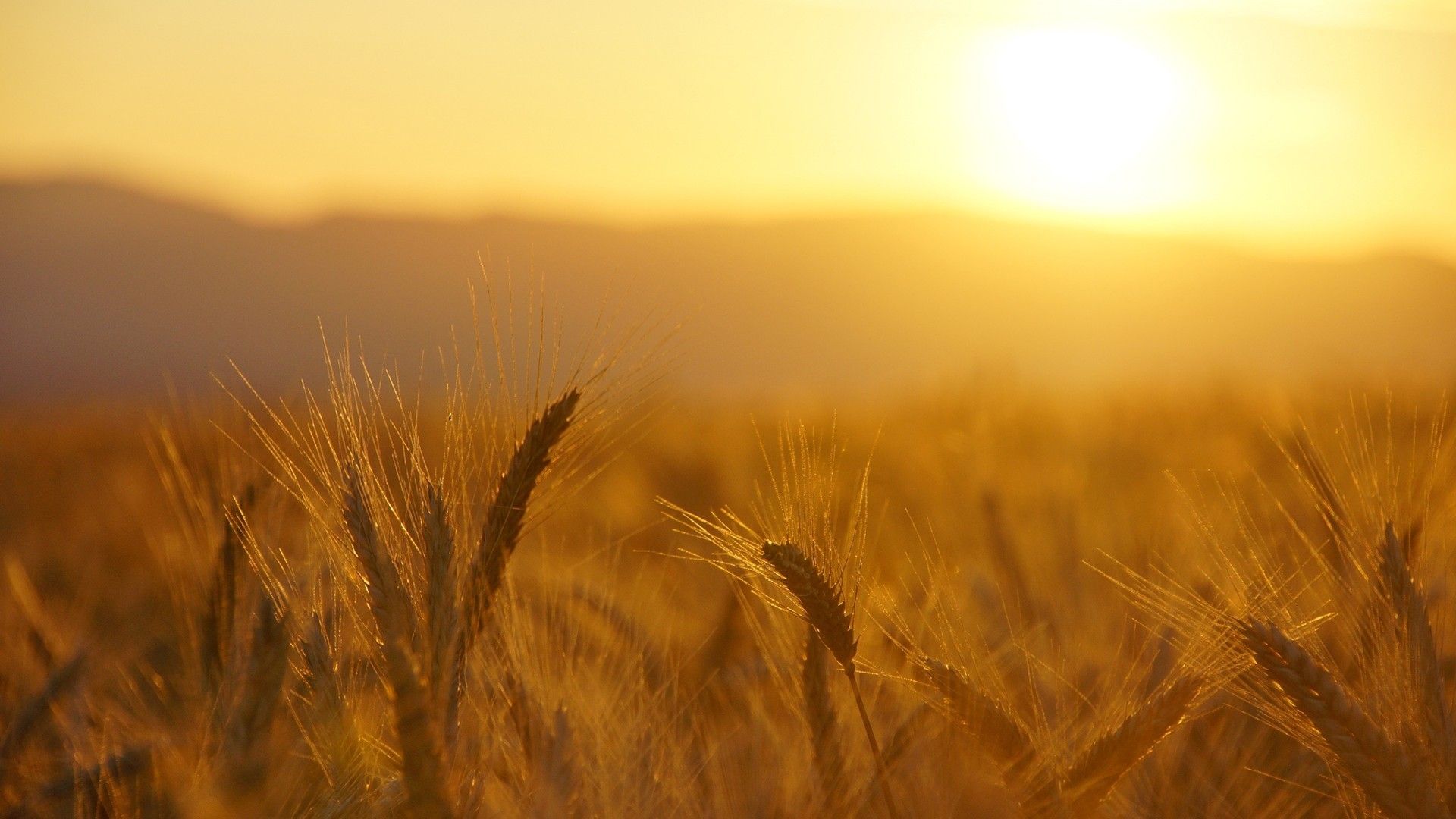 Warm Desktop Wallpapers - Wallpaper Cave