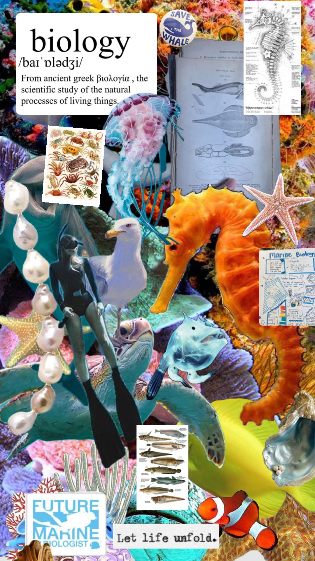 Marine Biologist Wallpapers - Wallpaper Cave