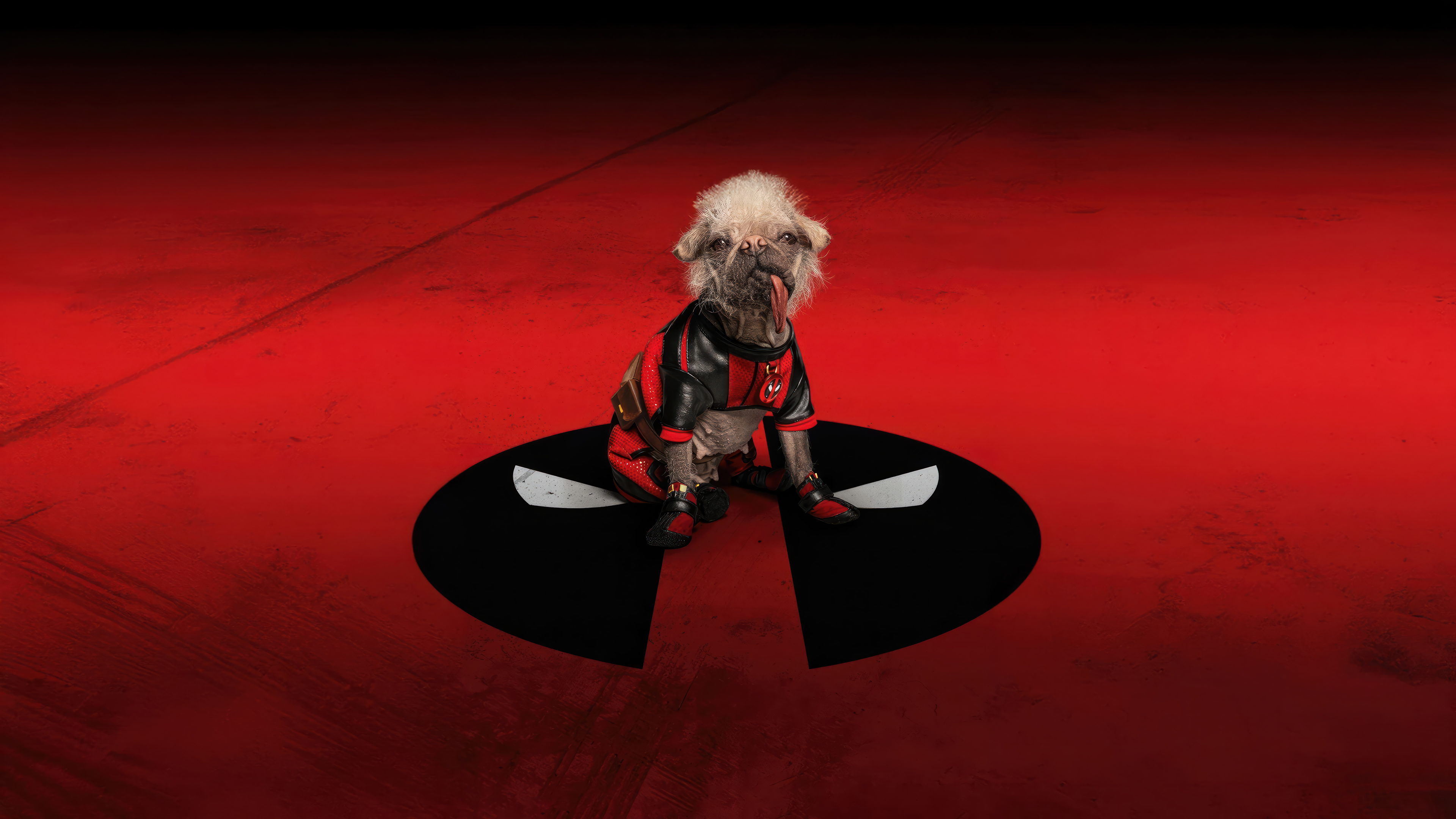 Deadpool And His Dog Wallpapers - Wallpaper Cave
