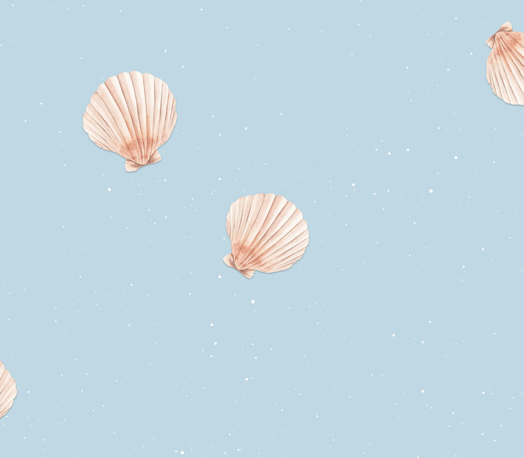 Desktop Shell Wallpapers - Wallpaper Cave