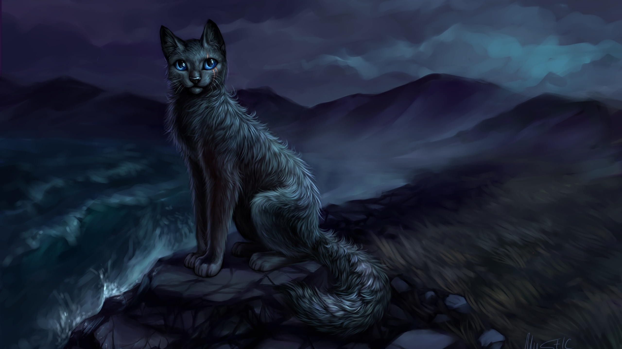 Cats Night Time Wallpapers - Wallpaper Cave