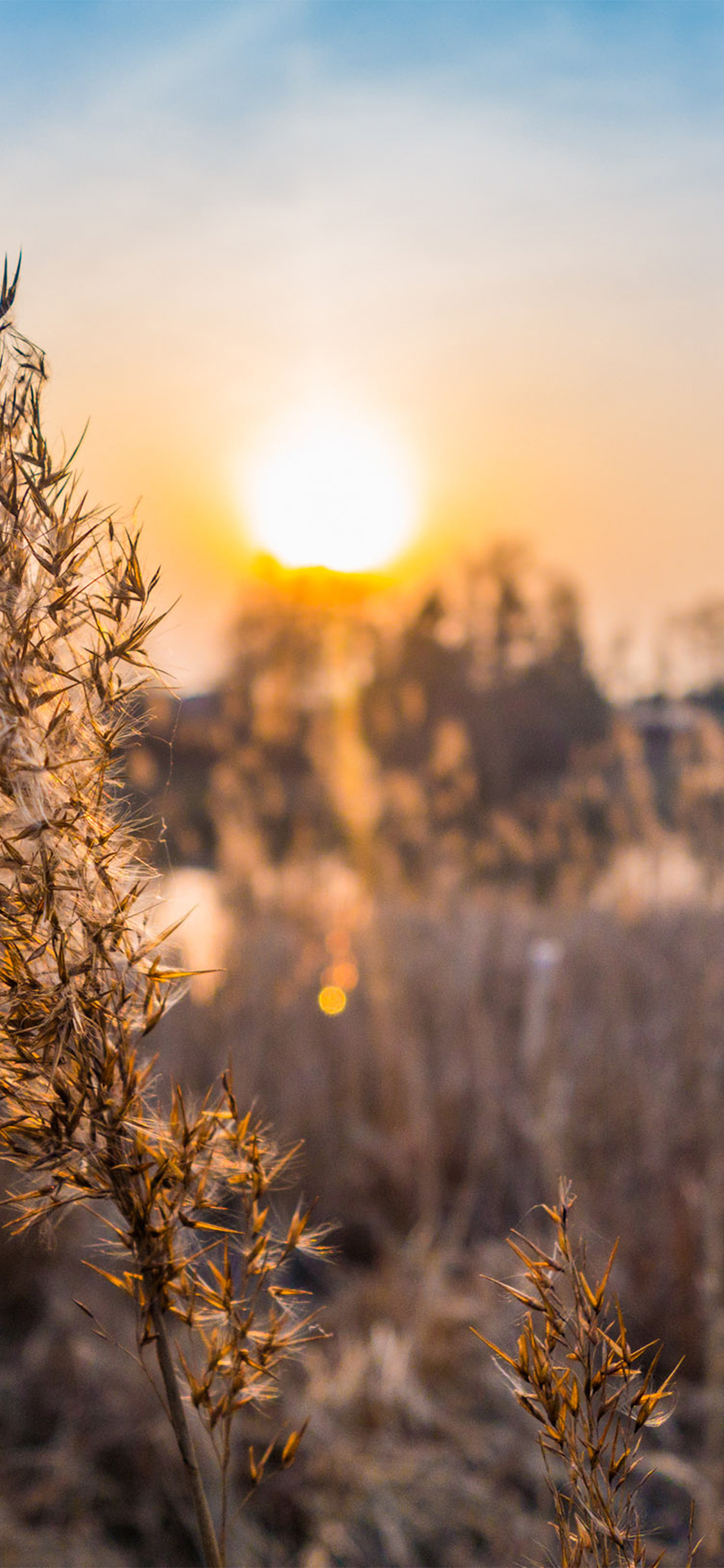 Fall Sunrise Wallpapers - Wallpaper Cave