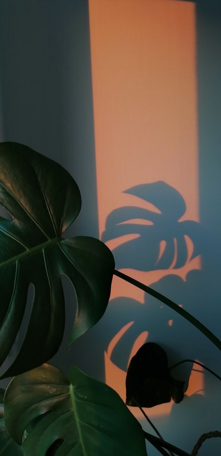 Pinterest Wallpapers Hd