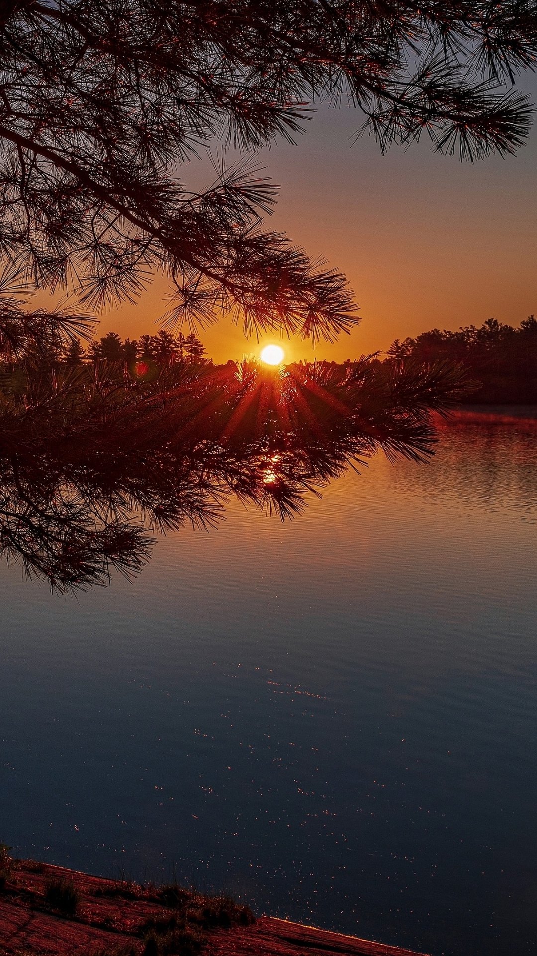 Evening Phone Wallpapers - Wallpaper Cave