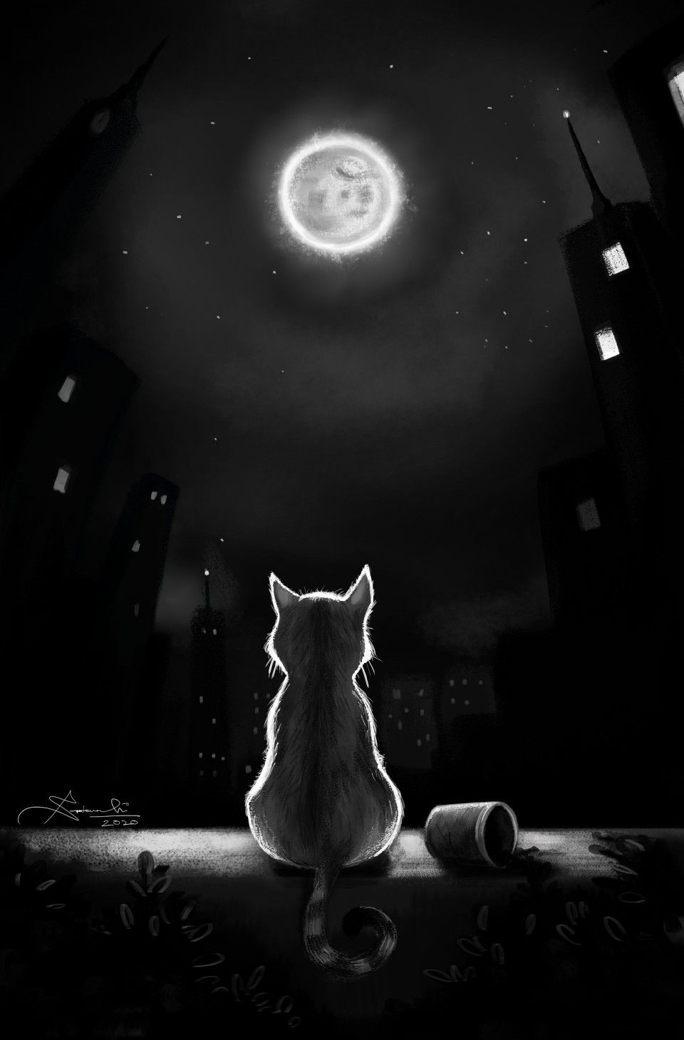 Alone Cat Wallpapers - Wallpaper Cave