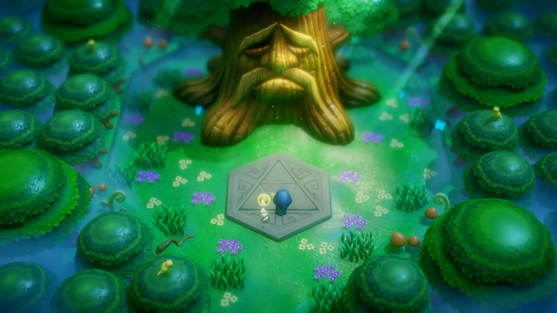 The Legend Of Zelda: Echoes Of Wisdom Wallpapers - Wallpaper Cave