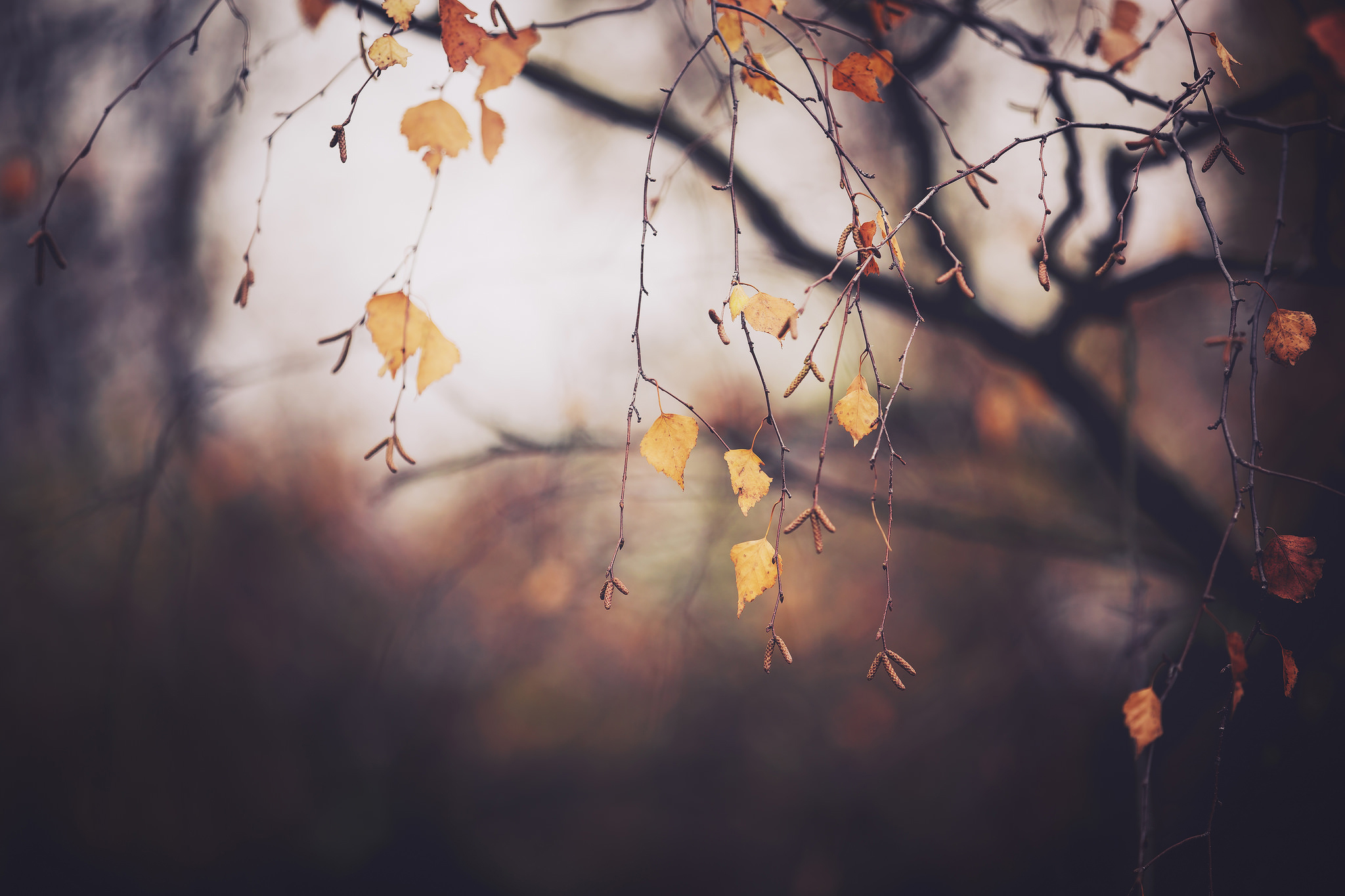 Horizontal Autumn Wallpapers - Wallpaper Cave