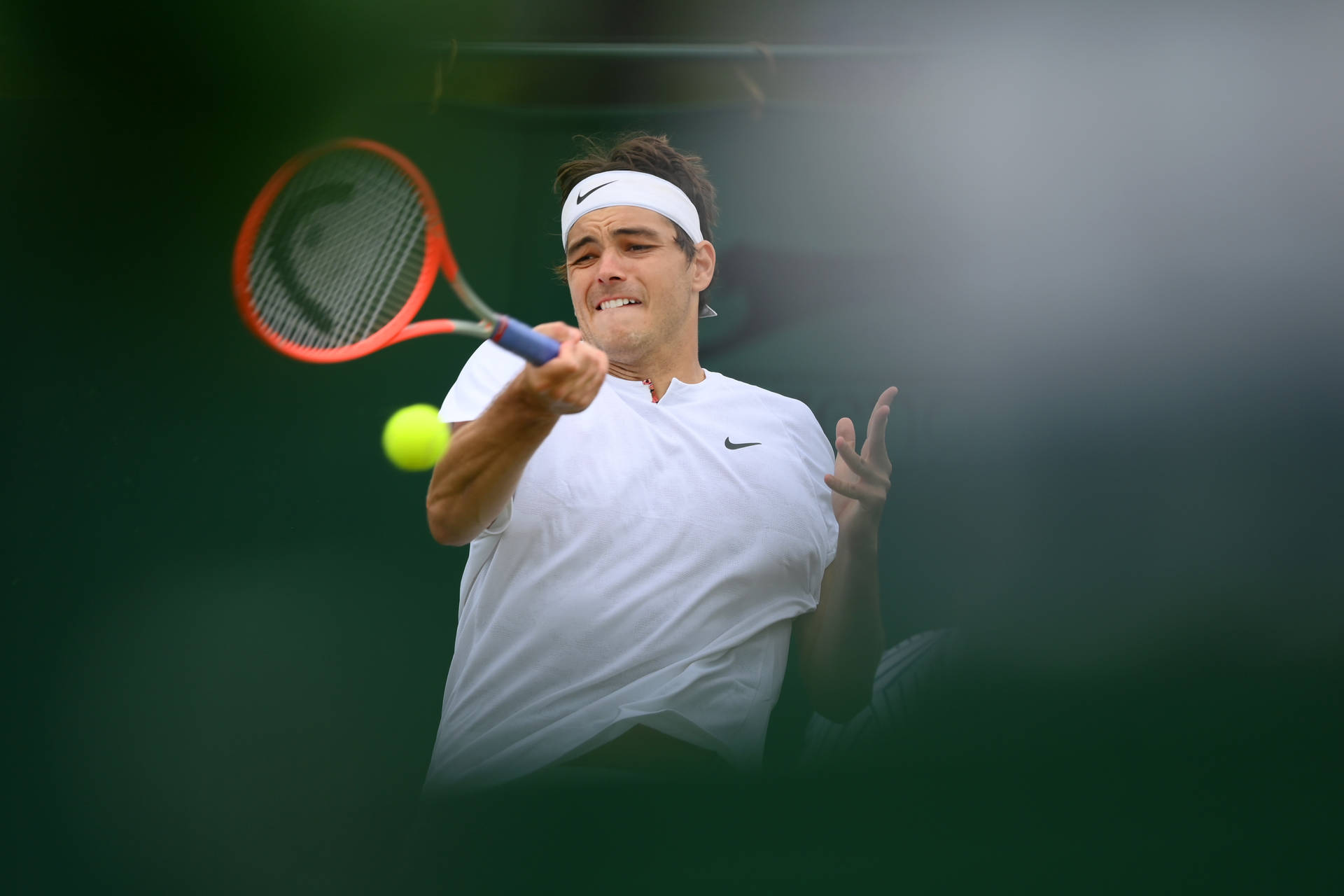 Taylor Fritz Wallpapers - Wallpaper Cave