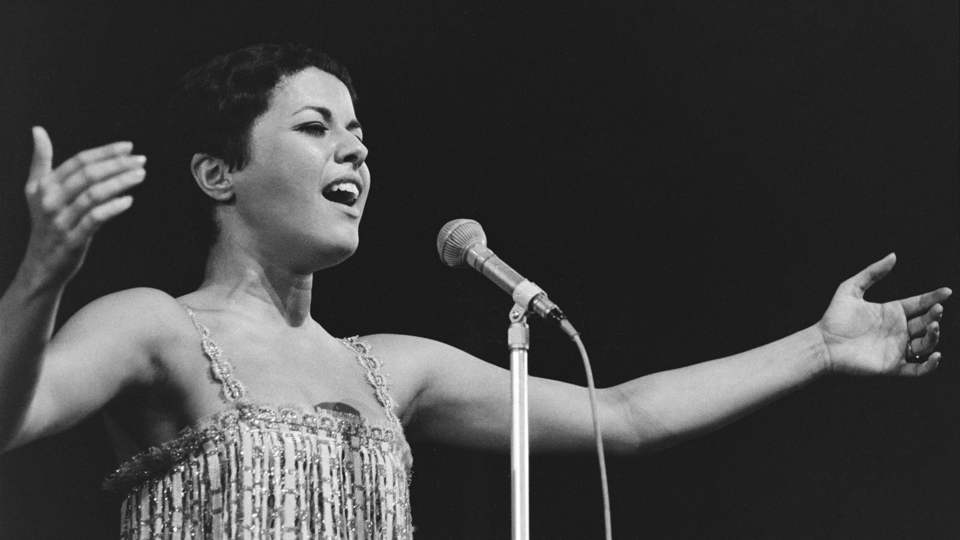 Elis Regina Wallpapers - Wallpaper Cave