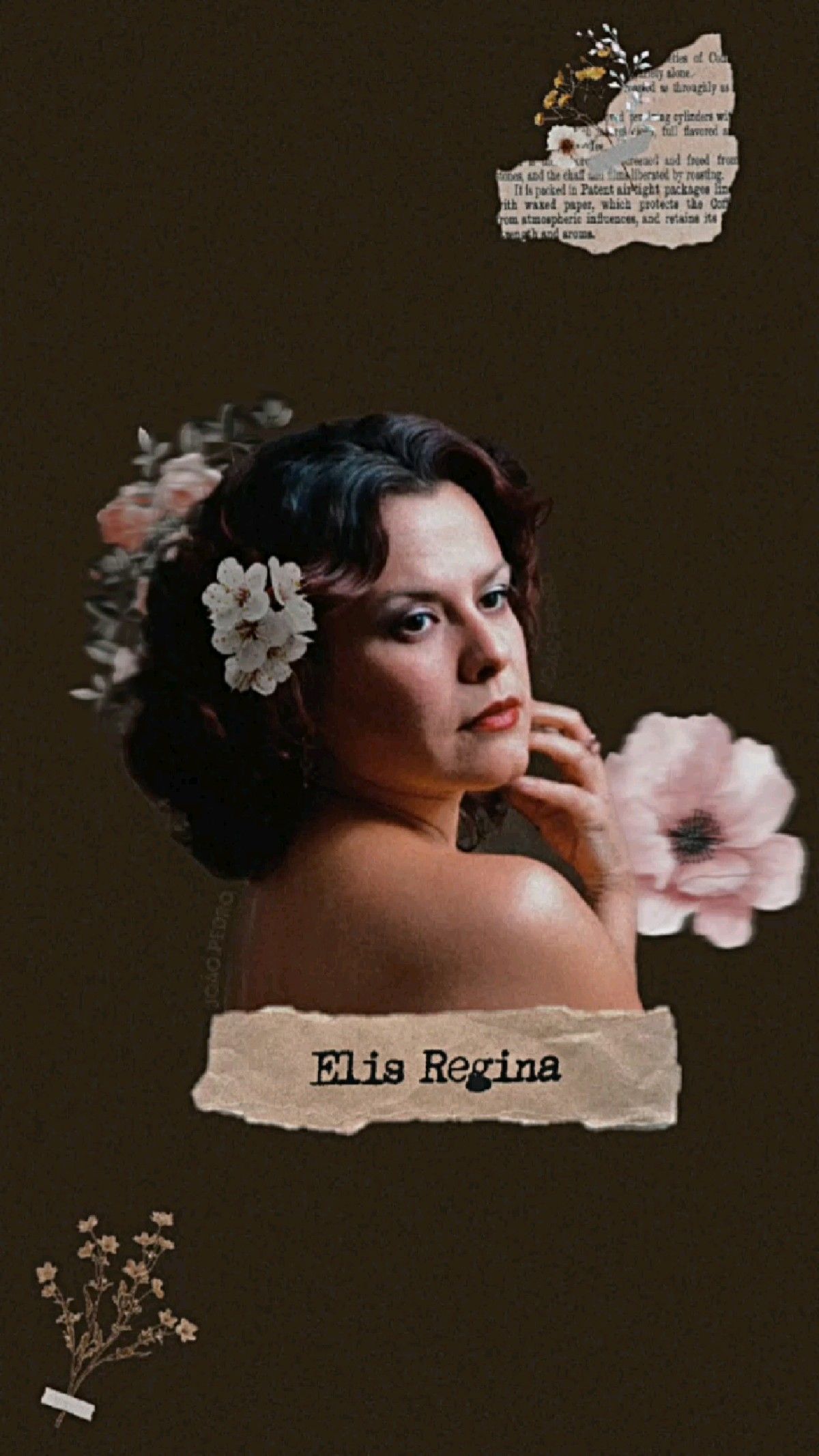 Elis Regina Wallpapers - Wallpaper Cave
