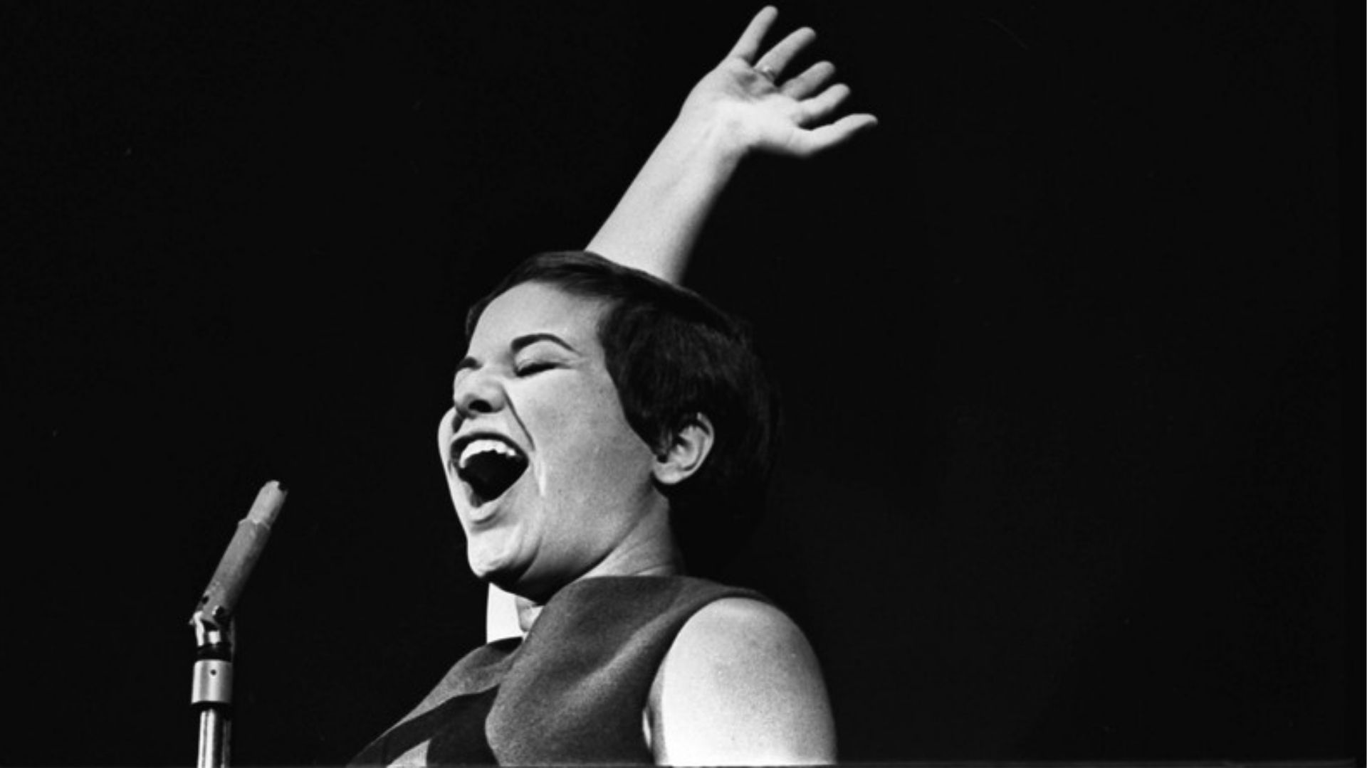 Elis Regina Wallpapers - Wallpaper Cave