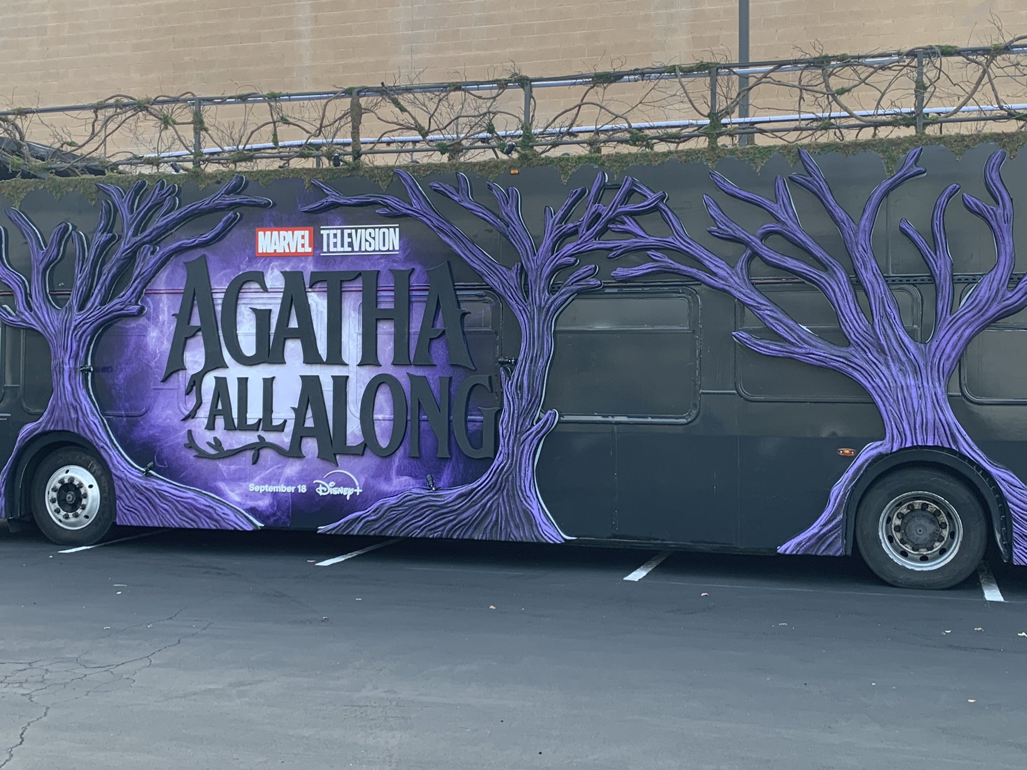 Agatha All Along Wallpapers - Wallpaper Cave