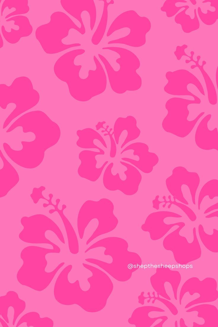 Pink Hibiscus Wallpapers - Wallpaper Cave