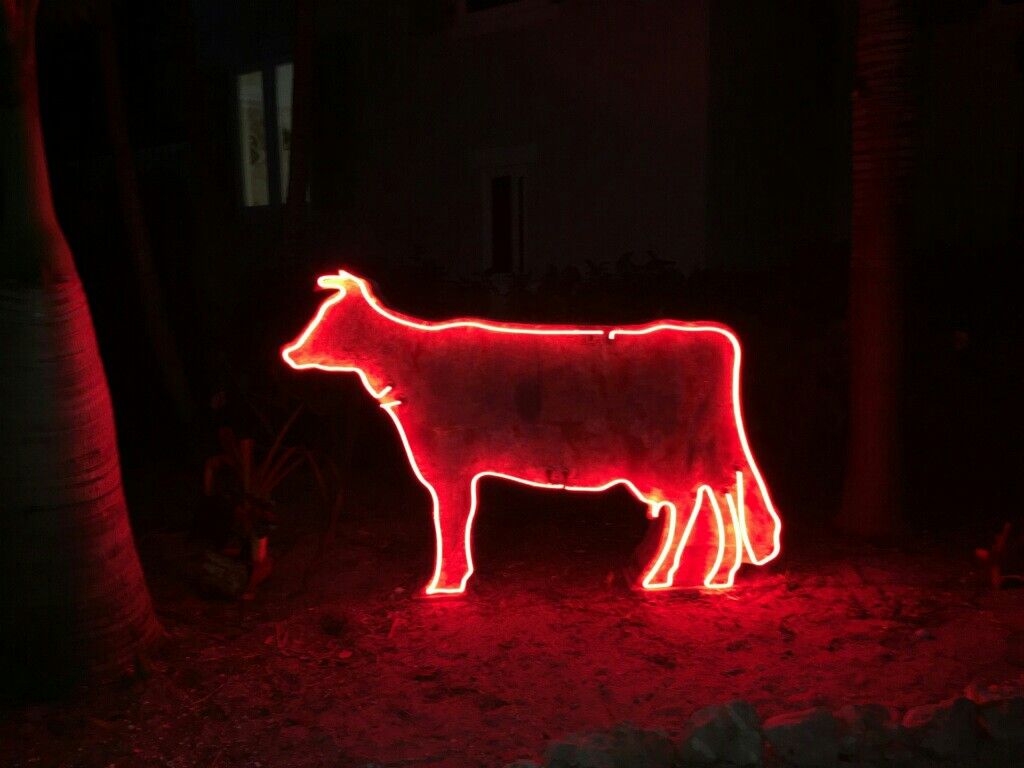 Neon Cows Wallpapers - Wallpaper Cave