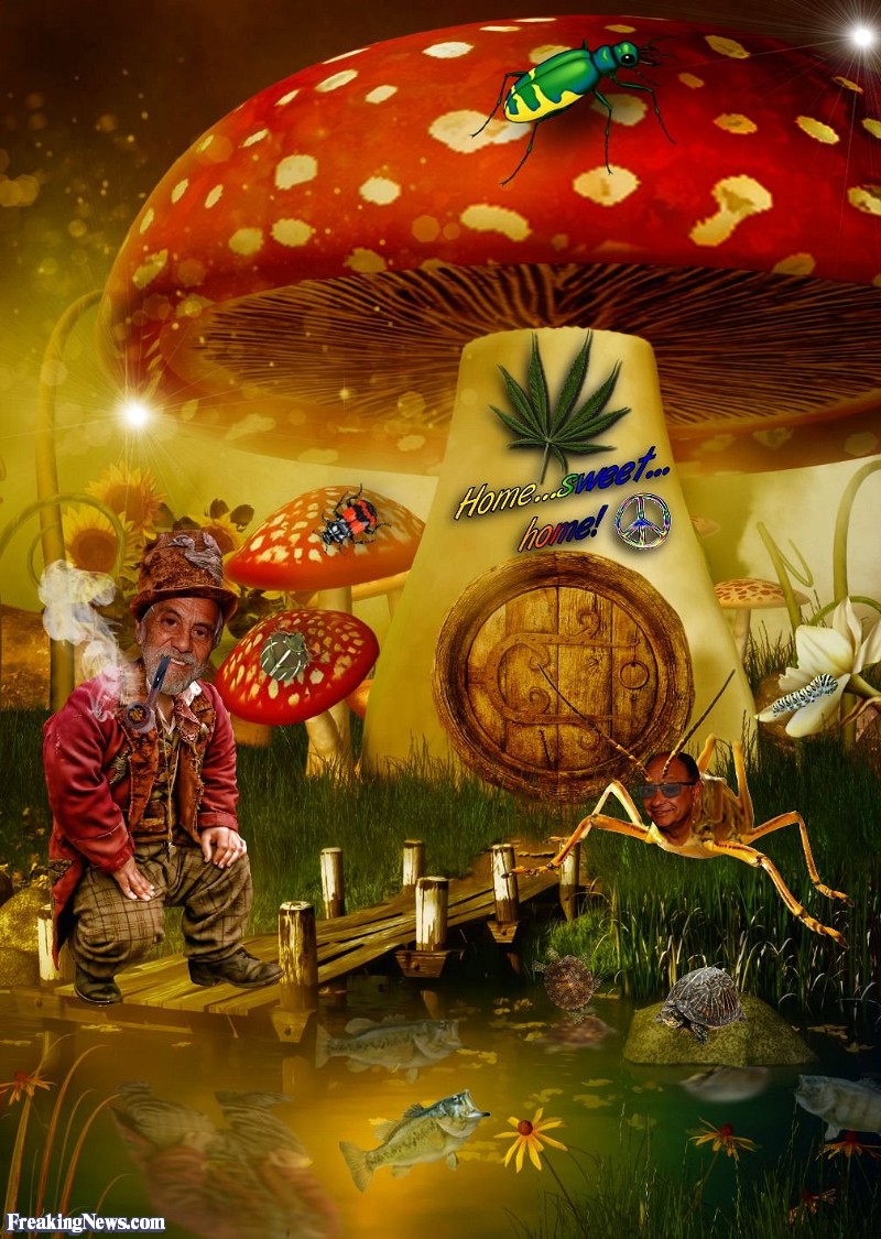 Cheech And Chong iPhone Wallpapers - Wallpaper Cave