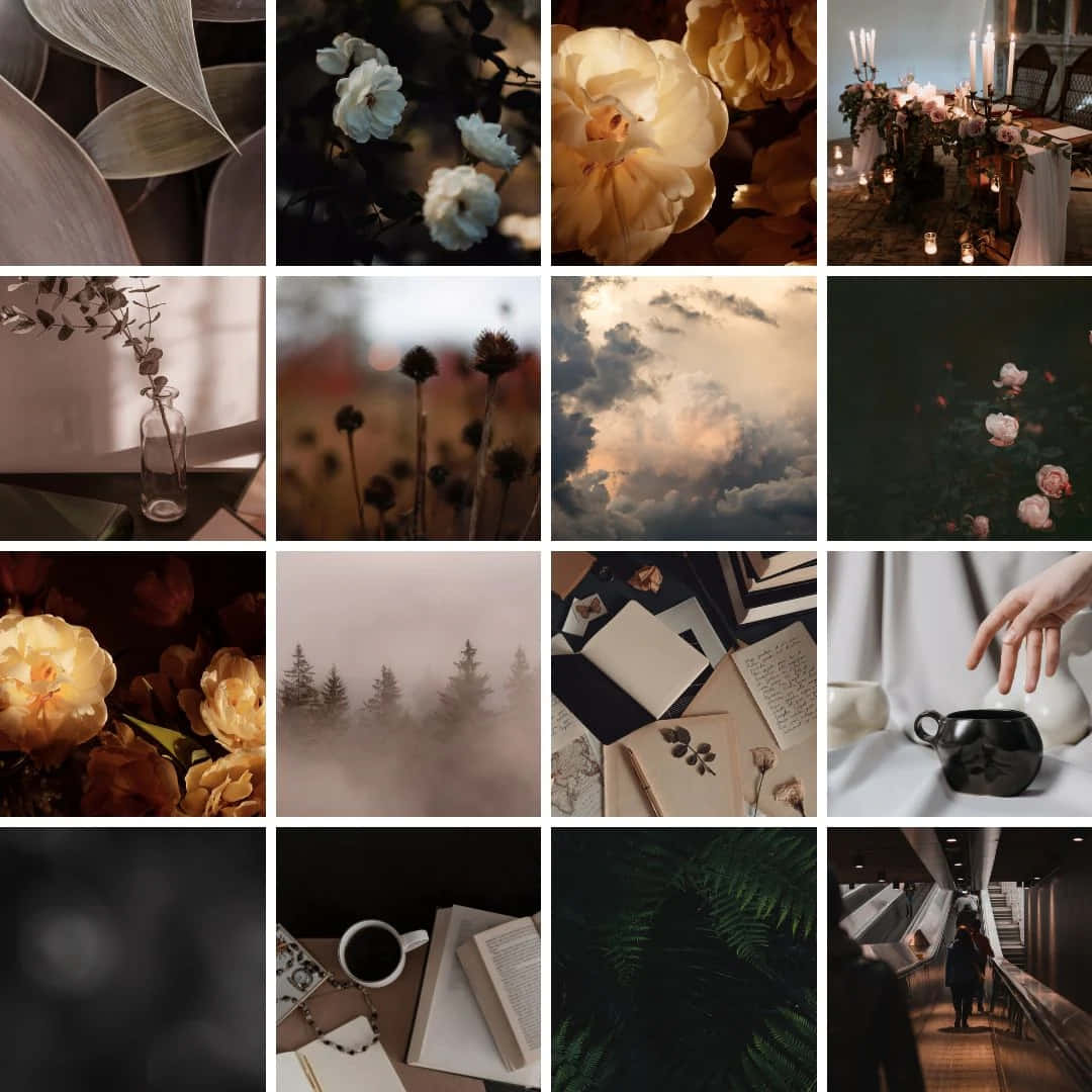 Moody Autumn Cottagecore Wallpapers - Wallpaper Cave