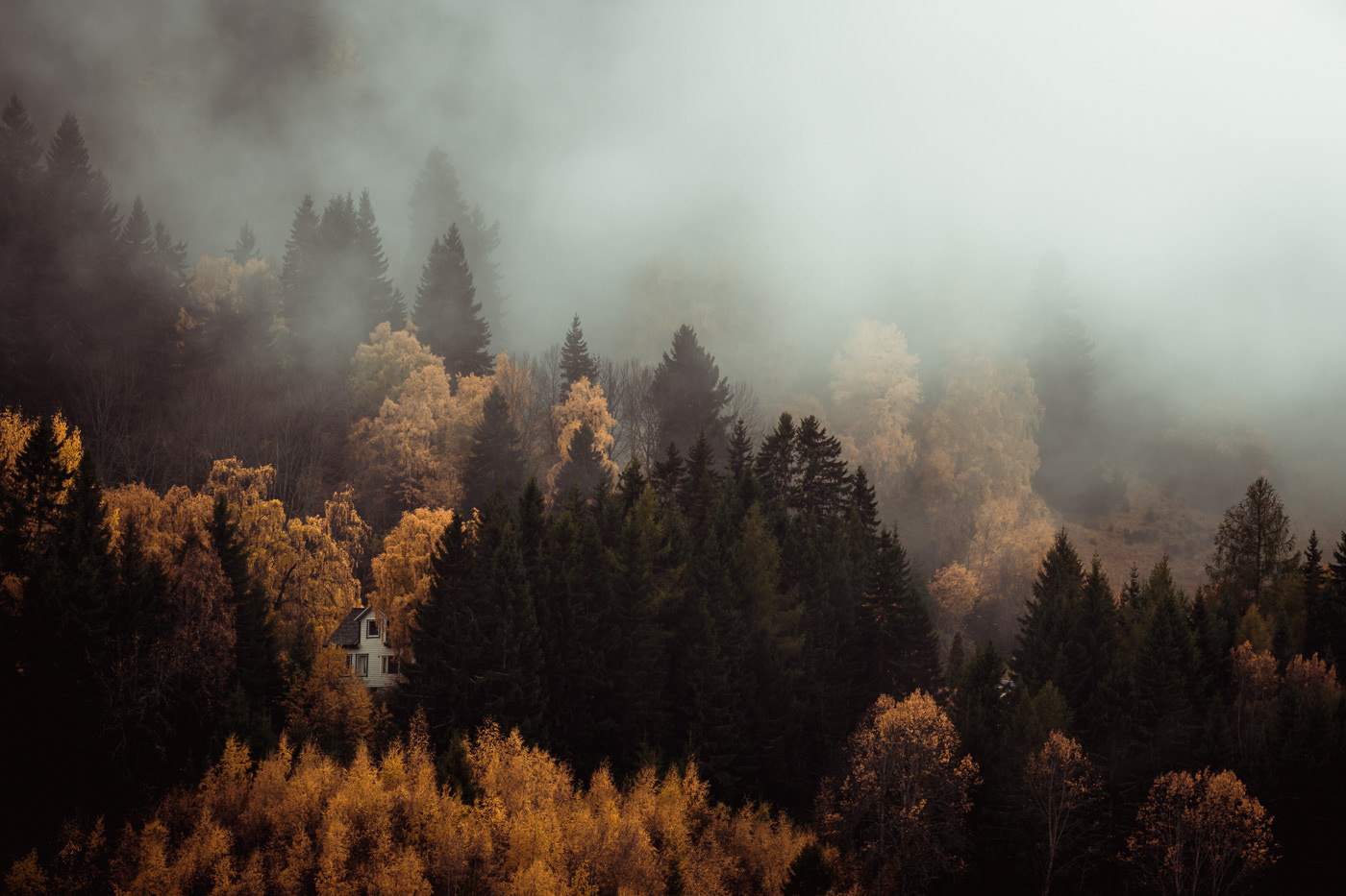 Moody Autumn Desktop Wallpapers - Wallpaper Cave