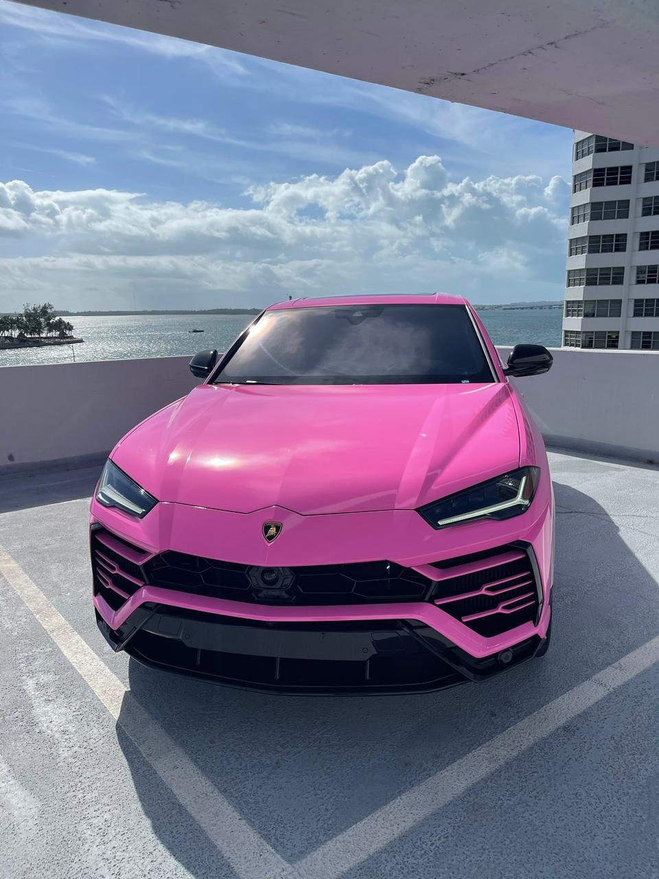 Pink Urus Wallpapers - Wallpaper Cave