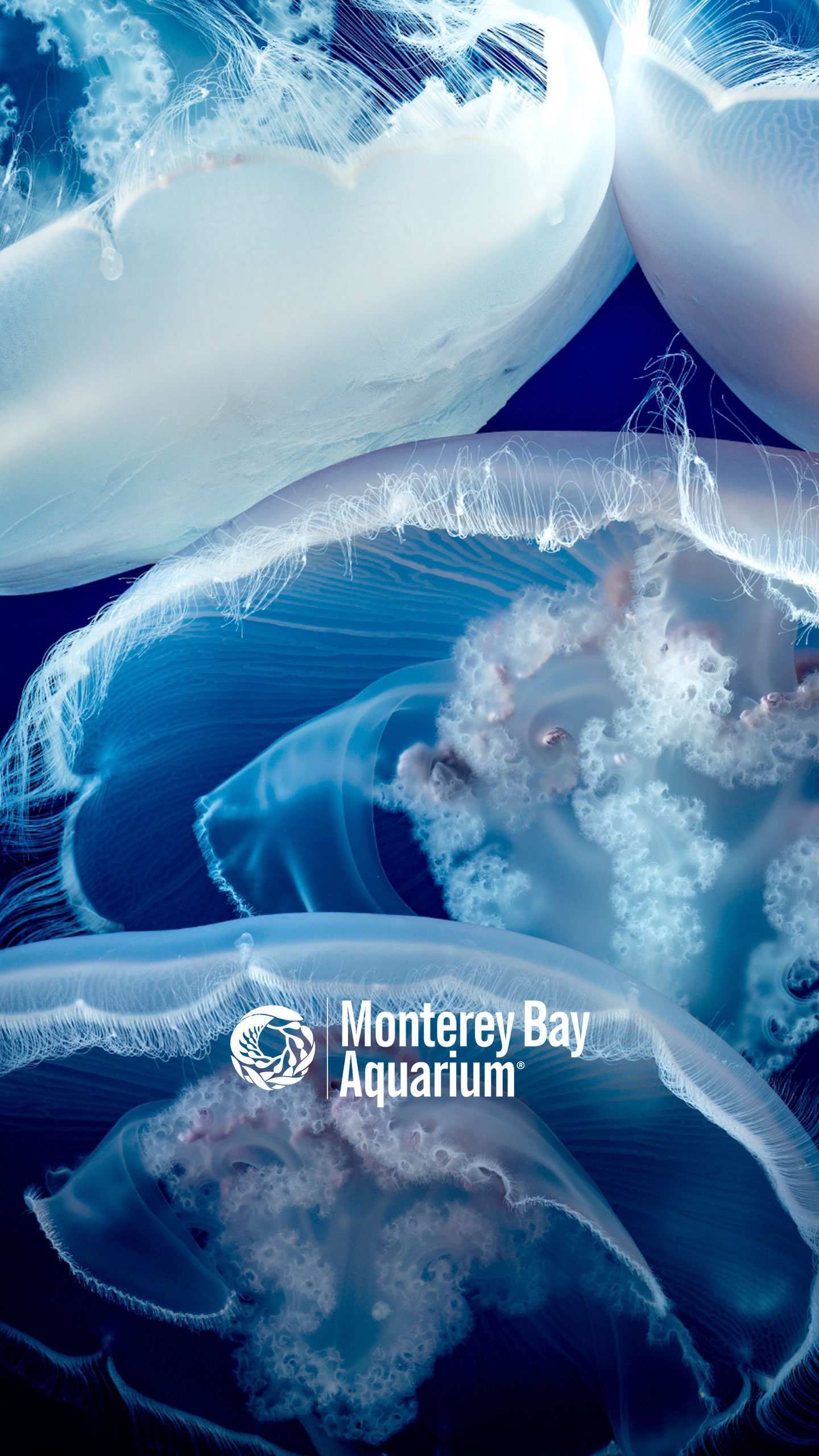 Monterey Bay Wallpapers - Wallpaper Cave