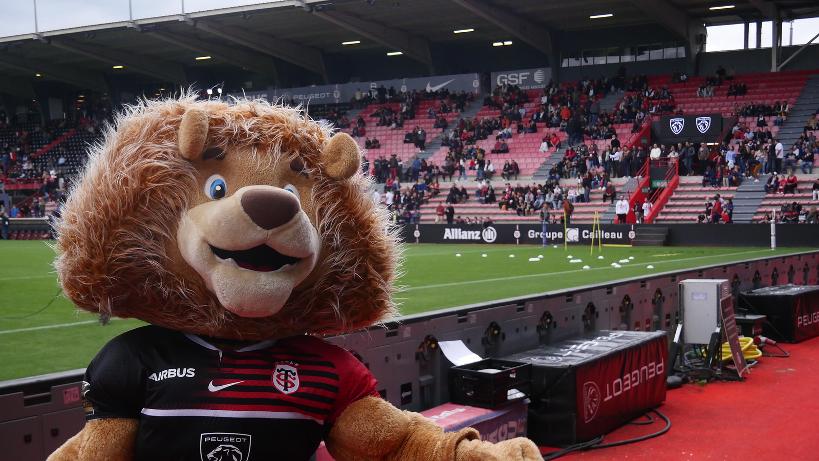 Stade Toulousain Wallpapers - Wallpaper Cave