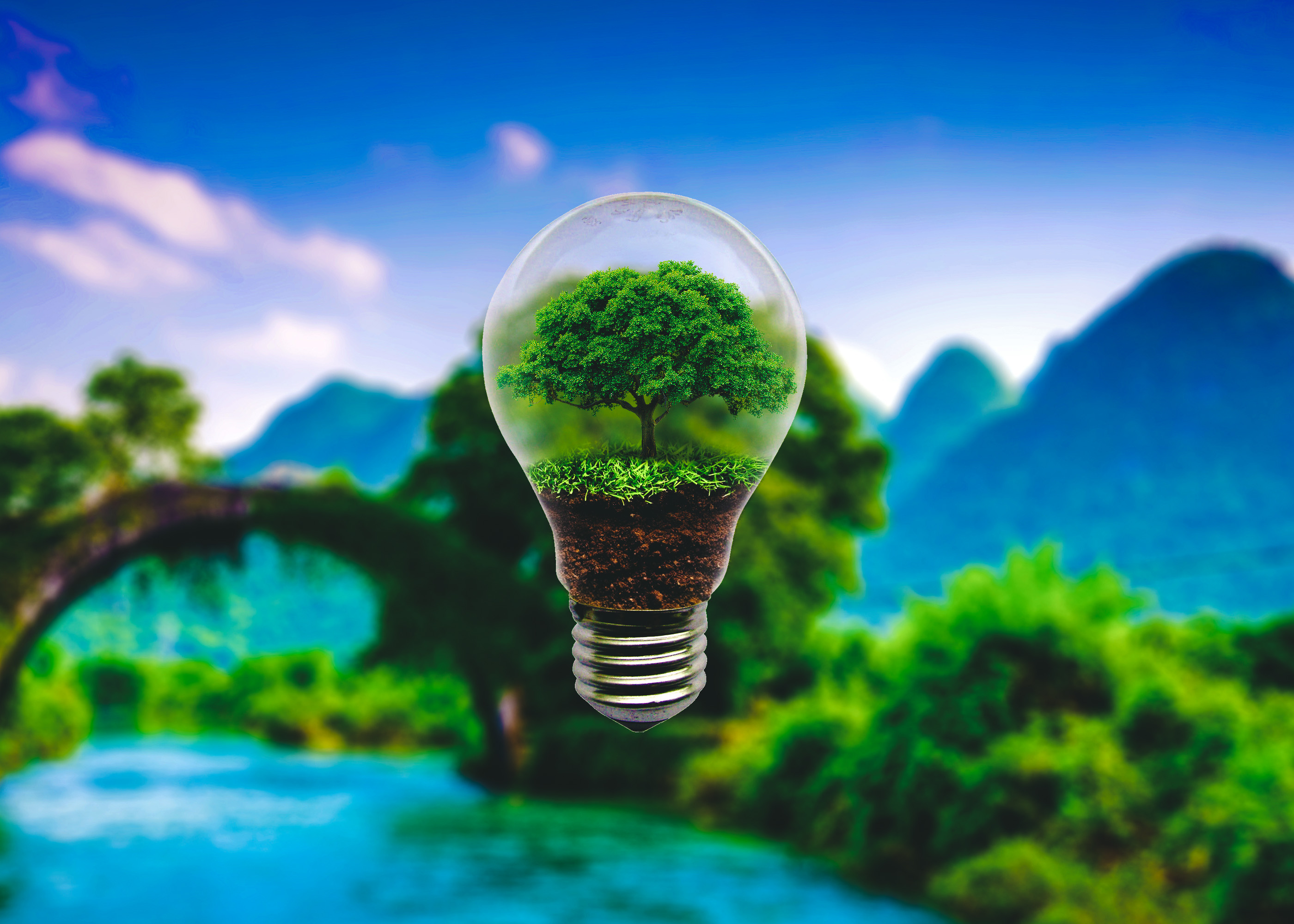 Nature In A Light Bulb Wallpapers - Wallpaper Cave