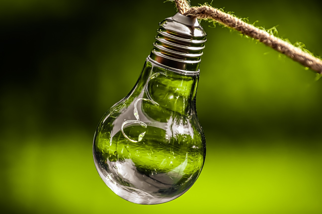 Nature In A Lightbulb Wallpapers - Wallpaper Cave