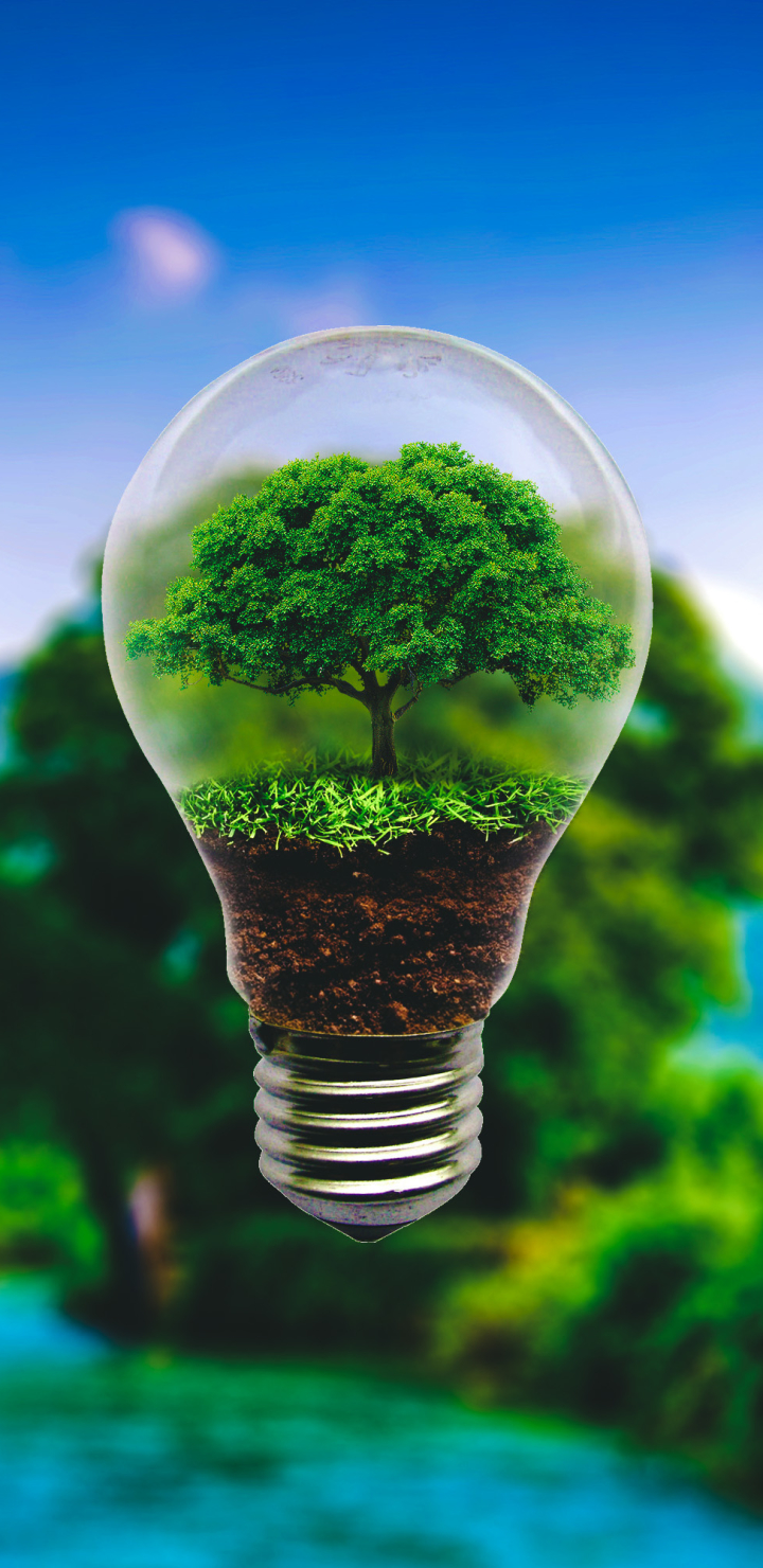 Nature In A Lightbulb Wallpapers - Wallpaper Cave