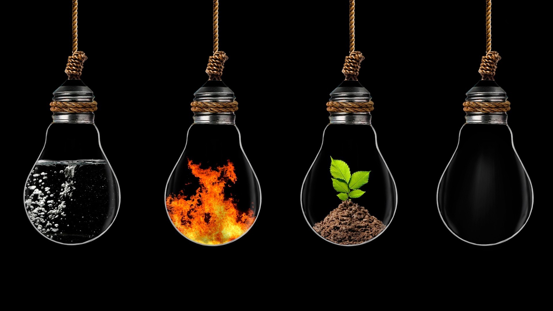 Nature In A Lightbulb Wallpapers - Wallpaper Cave