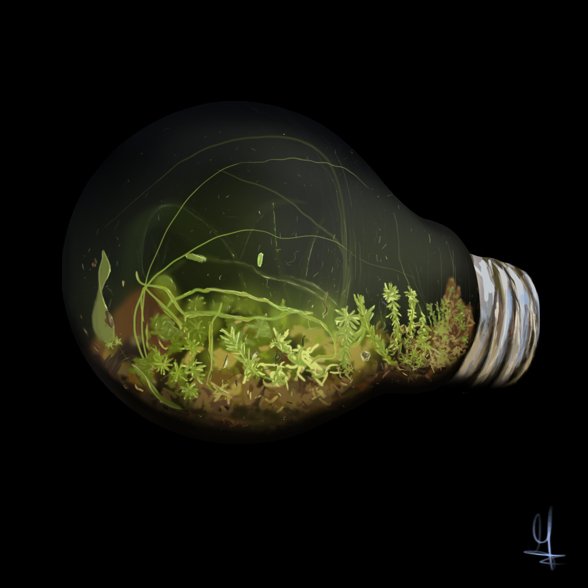 Nature In A Lightbulb Wallpapers - Wallpaper Cave