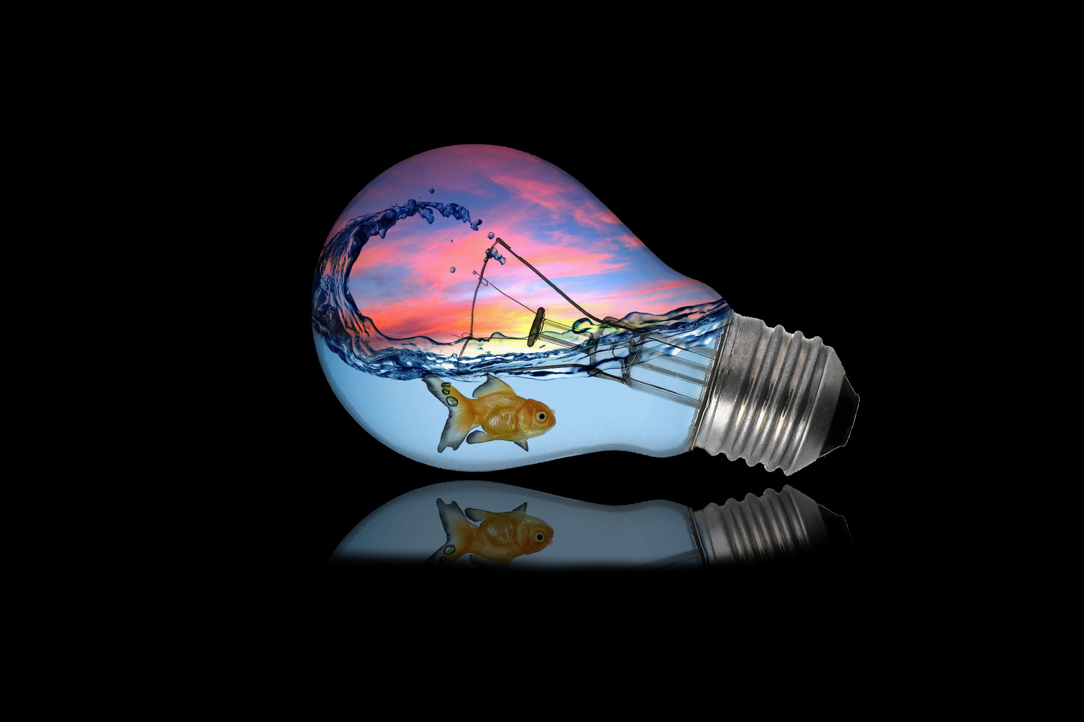 Nature In A Lightbulb Wallpapers - Wallpaper Cave