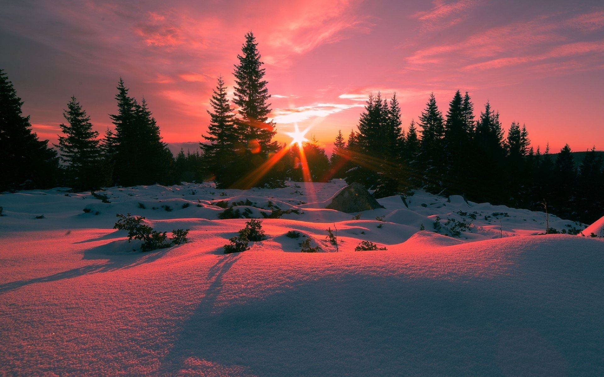 Winter Sunset Tree Wallpapers - Wallpaper Cave