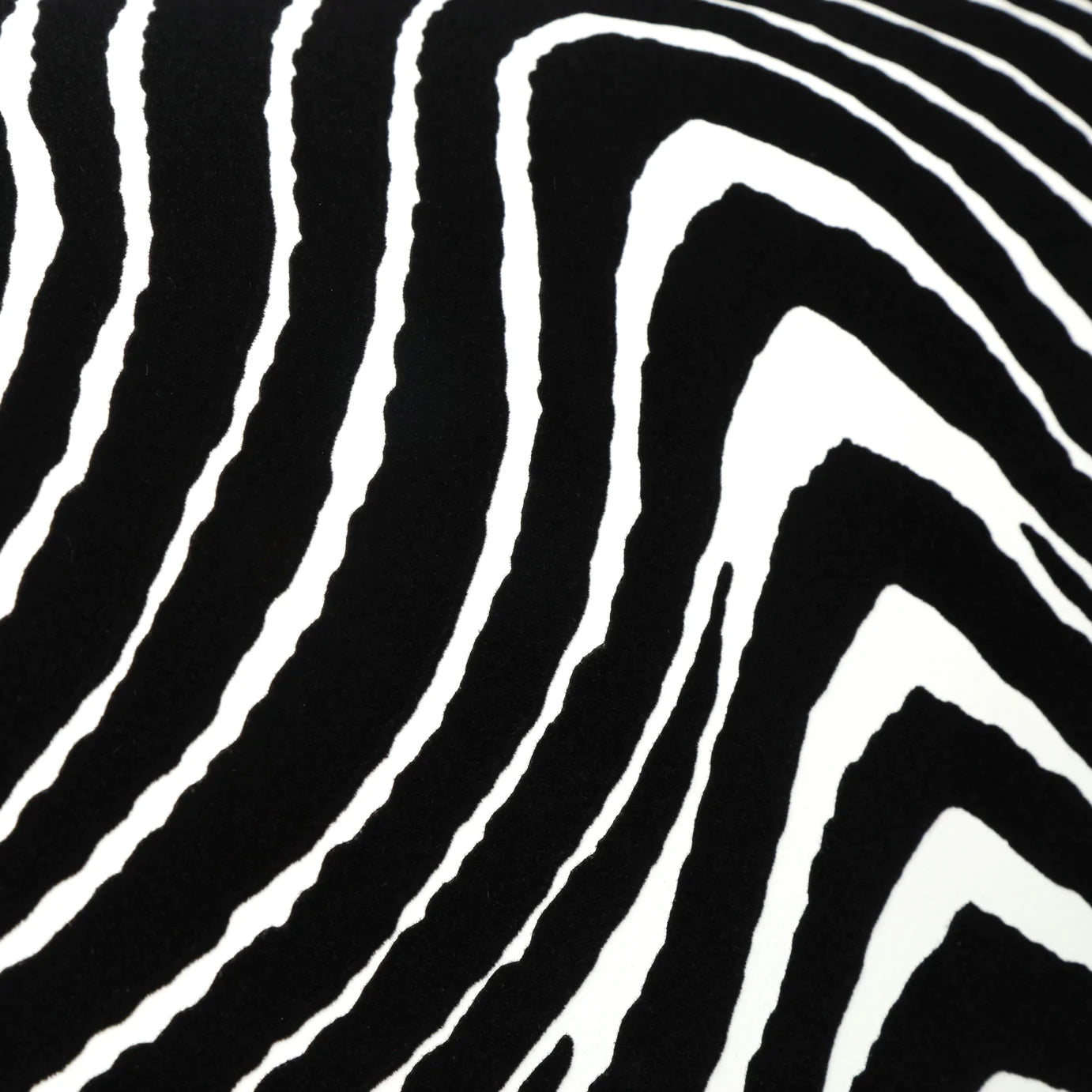 Zebra Stripes Wallpapers - Wallpaper Cave