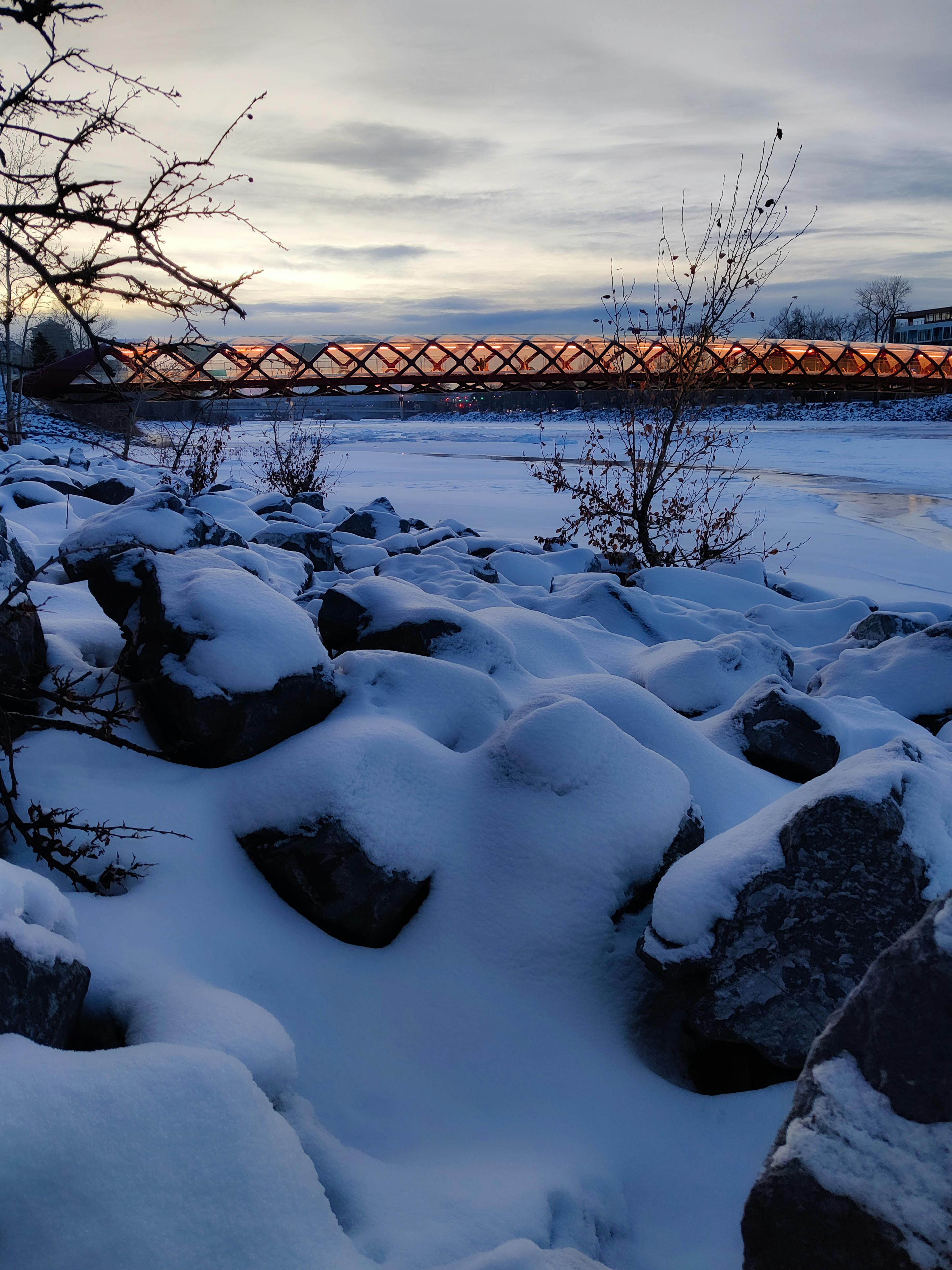Calgary Peace Bridge 4k Wallpapers - Wallpaper Cave
