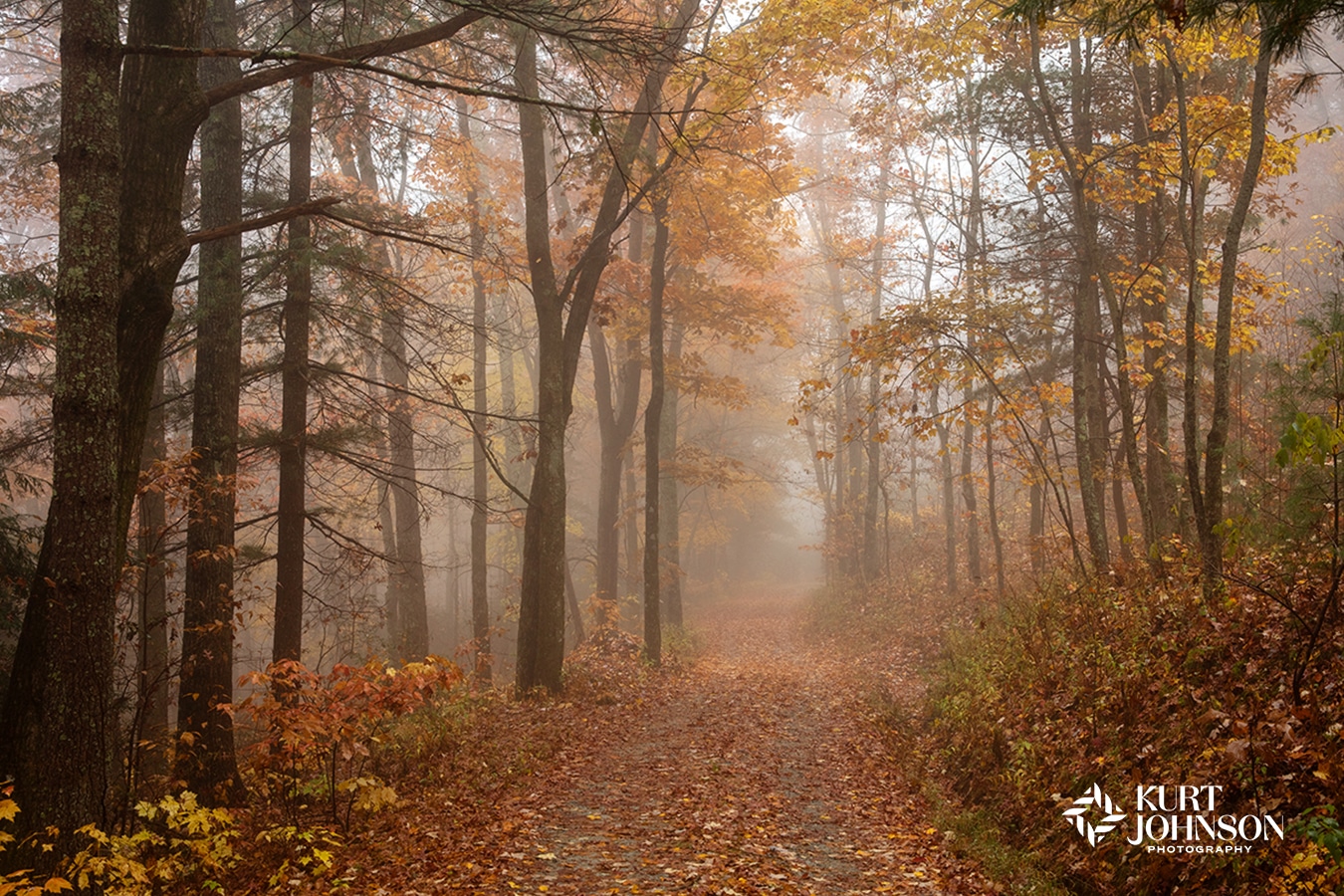Foggy Autumn Road Wallpapers - Wallpaper Cave