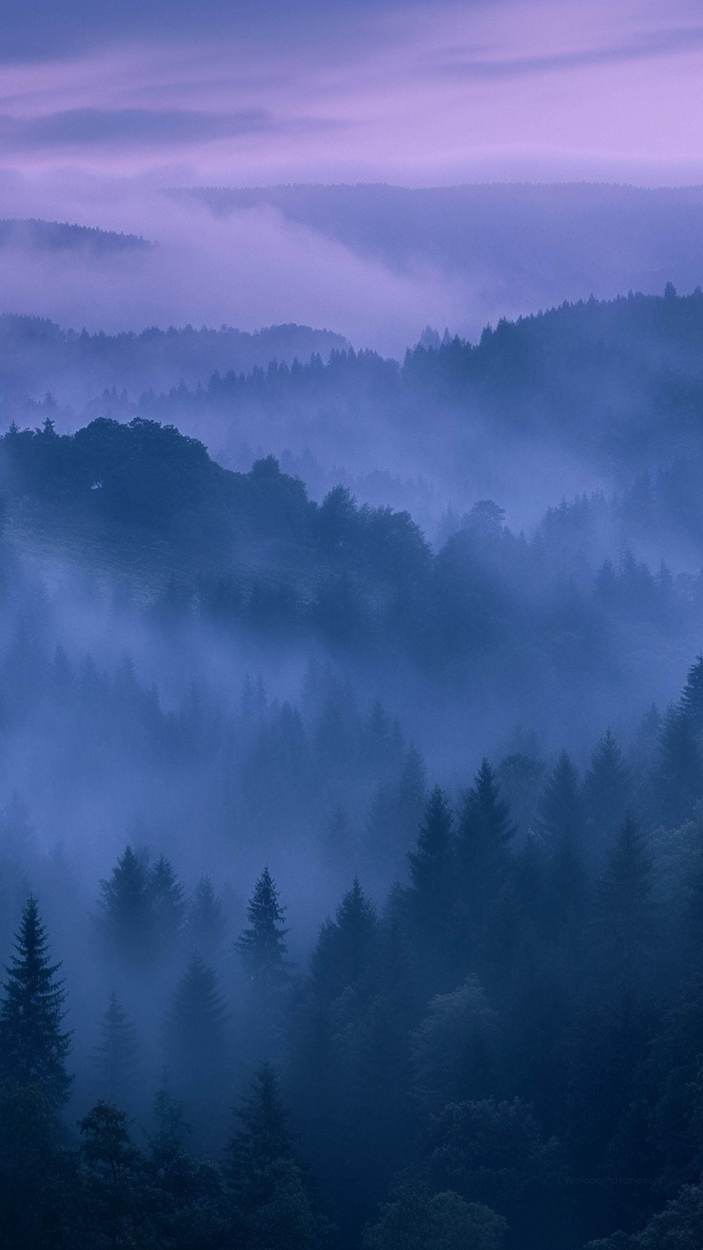 Foggy Mountain Autumn Wallpapers - Wallpaper Cave