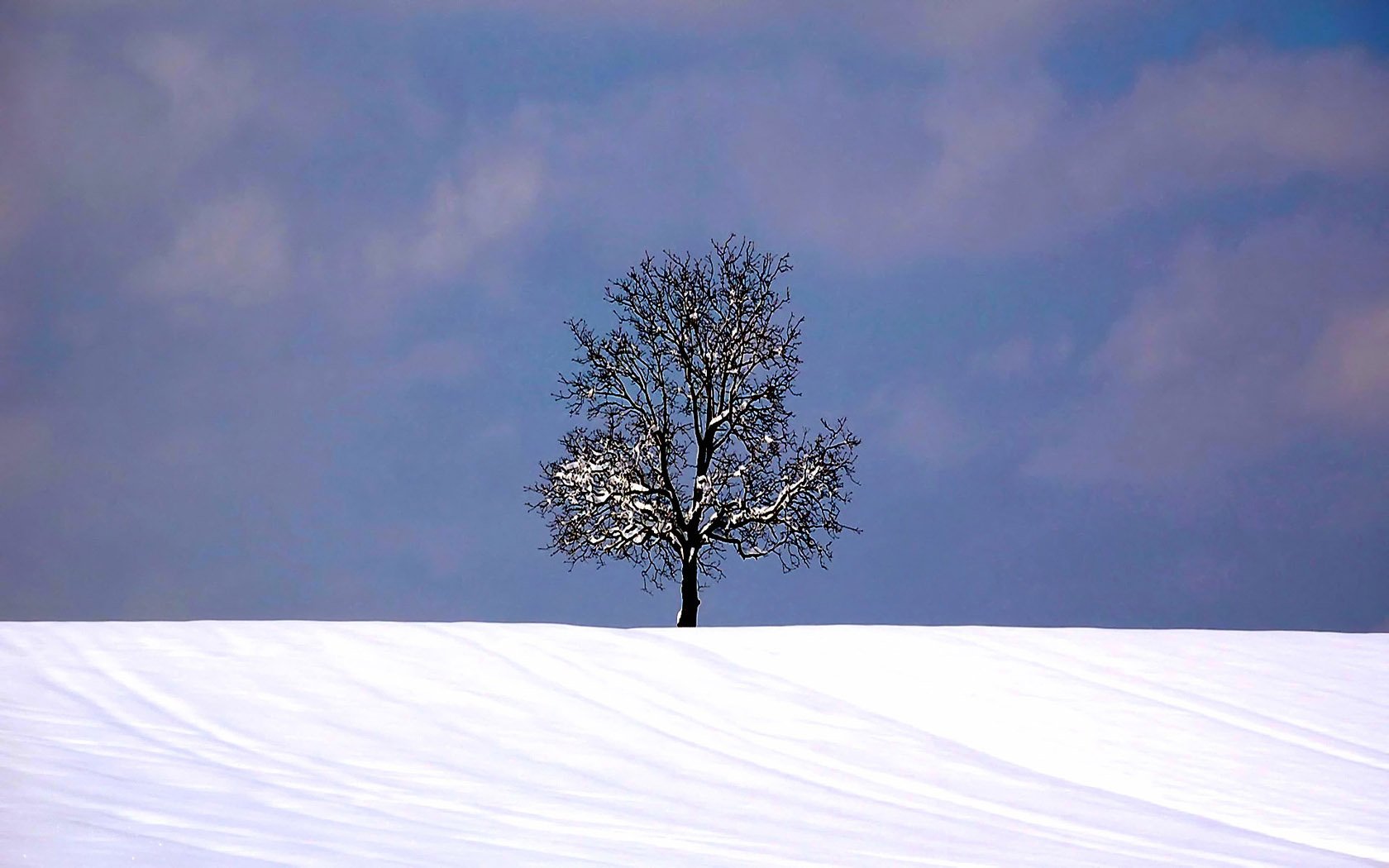 Winter Lonely Wallpapers - Wallpaper Cave