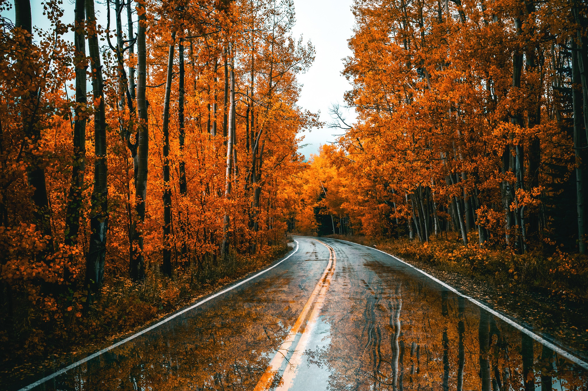 Autumn Season Road Wallpapers - Wallpaper Cave